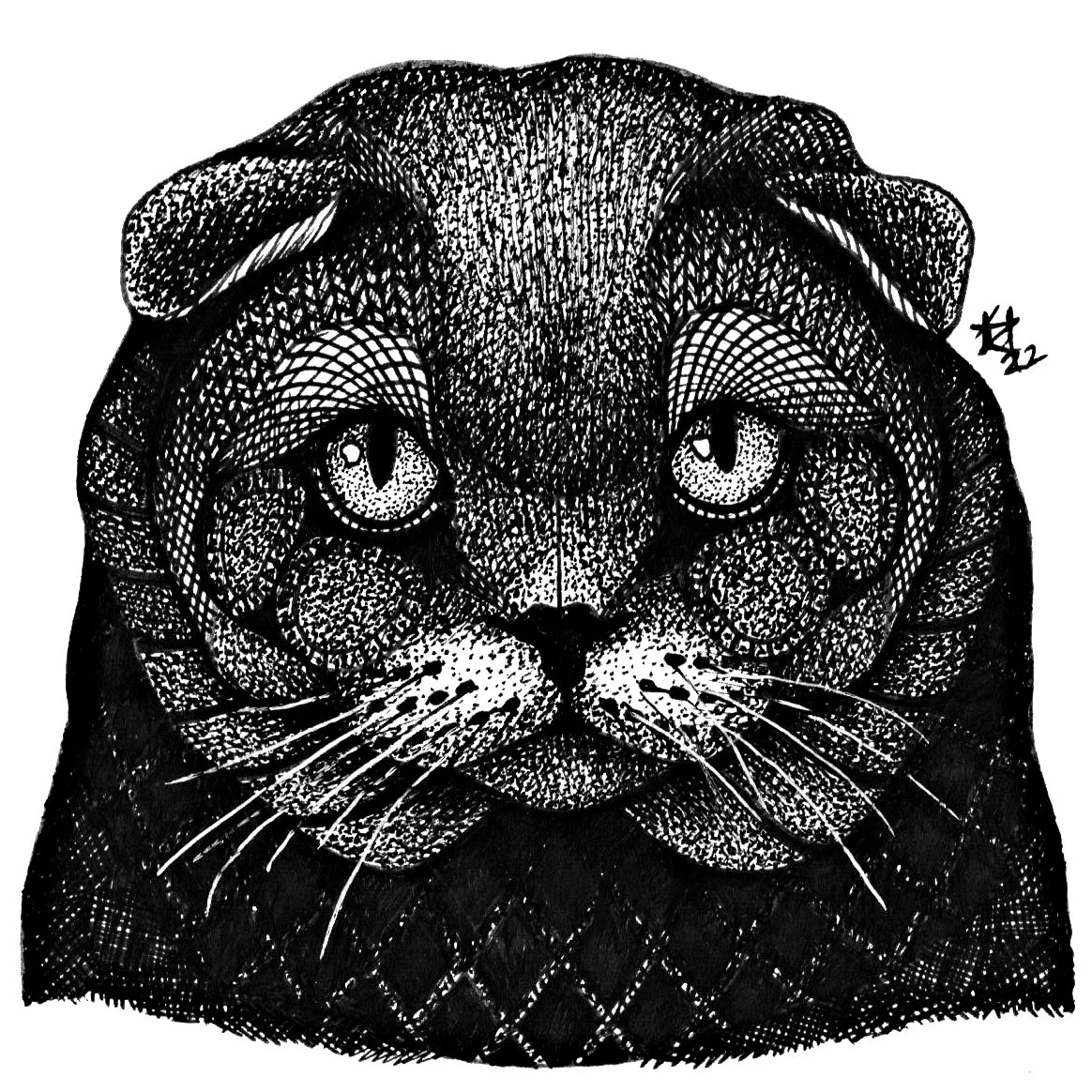 KRISTIN MOGER ART - Store- All work - Wee Scottish Fold Cat Ink Drawings