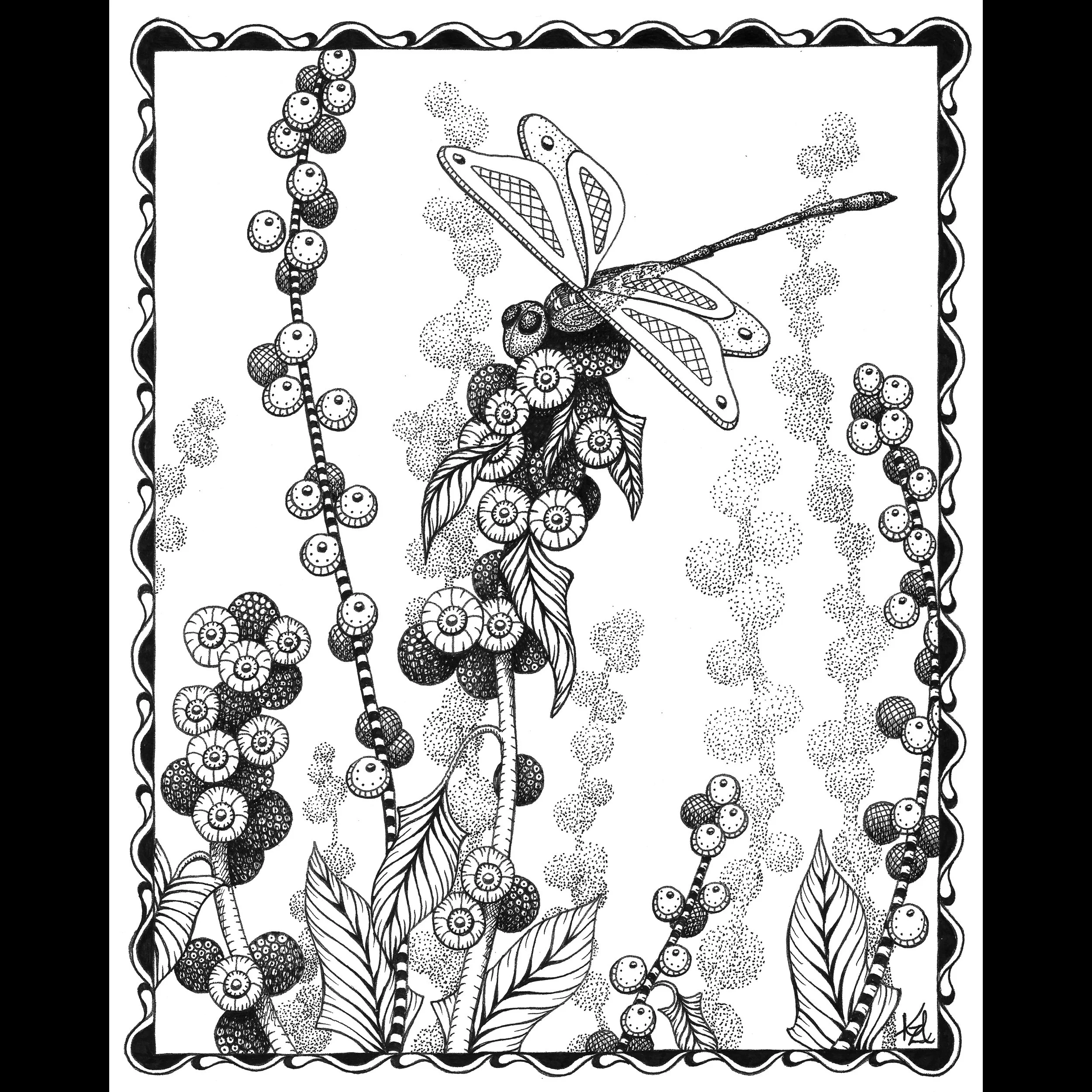 KRISTIN MOGER ART - Store- All work - Dragonfly Ink Drawing