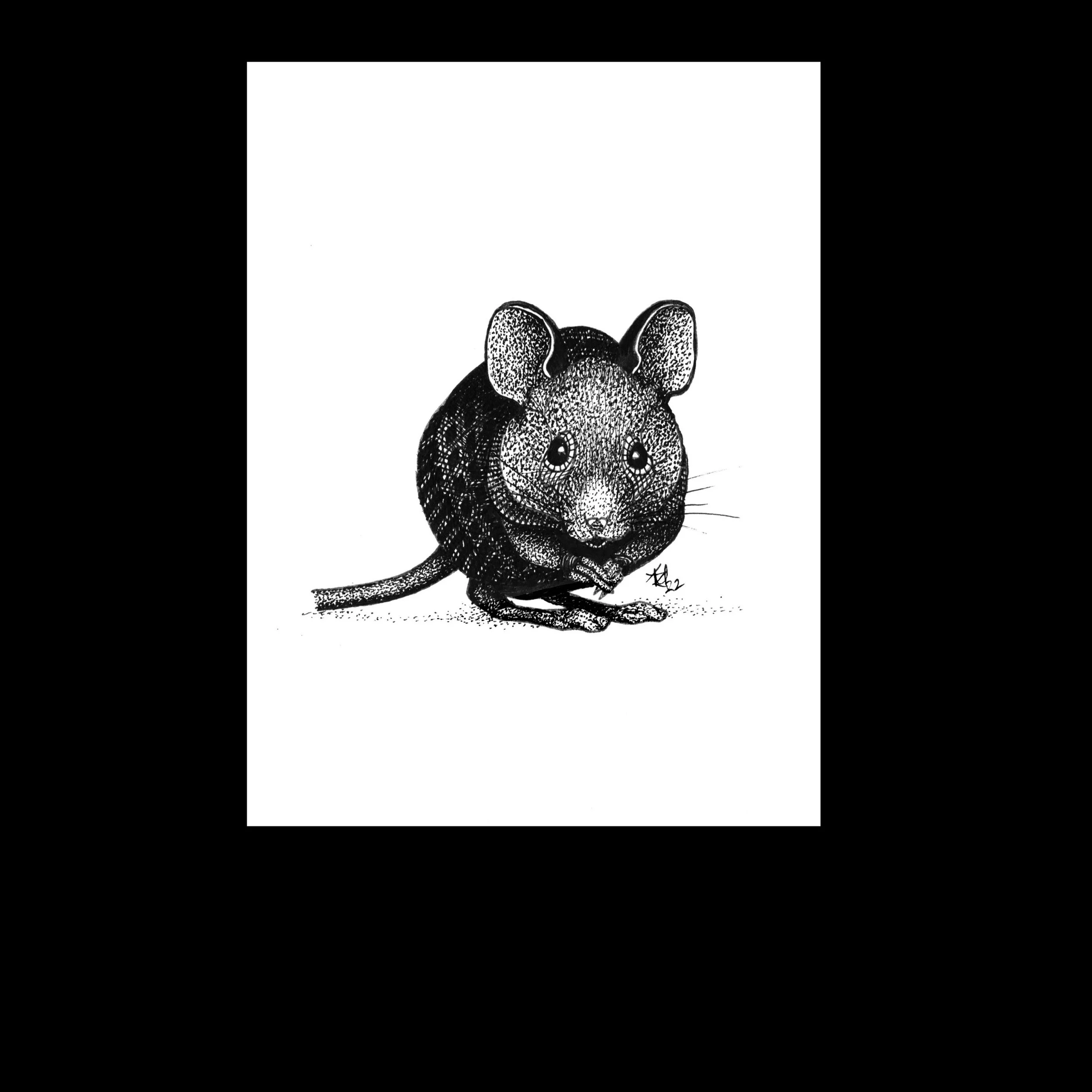 KRISTIN MOGER ART - Store- All work - Wee Mouse Ink Drawing