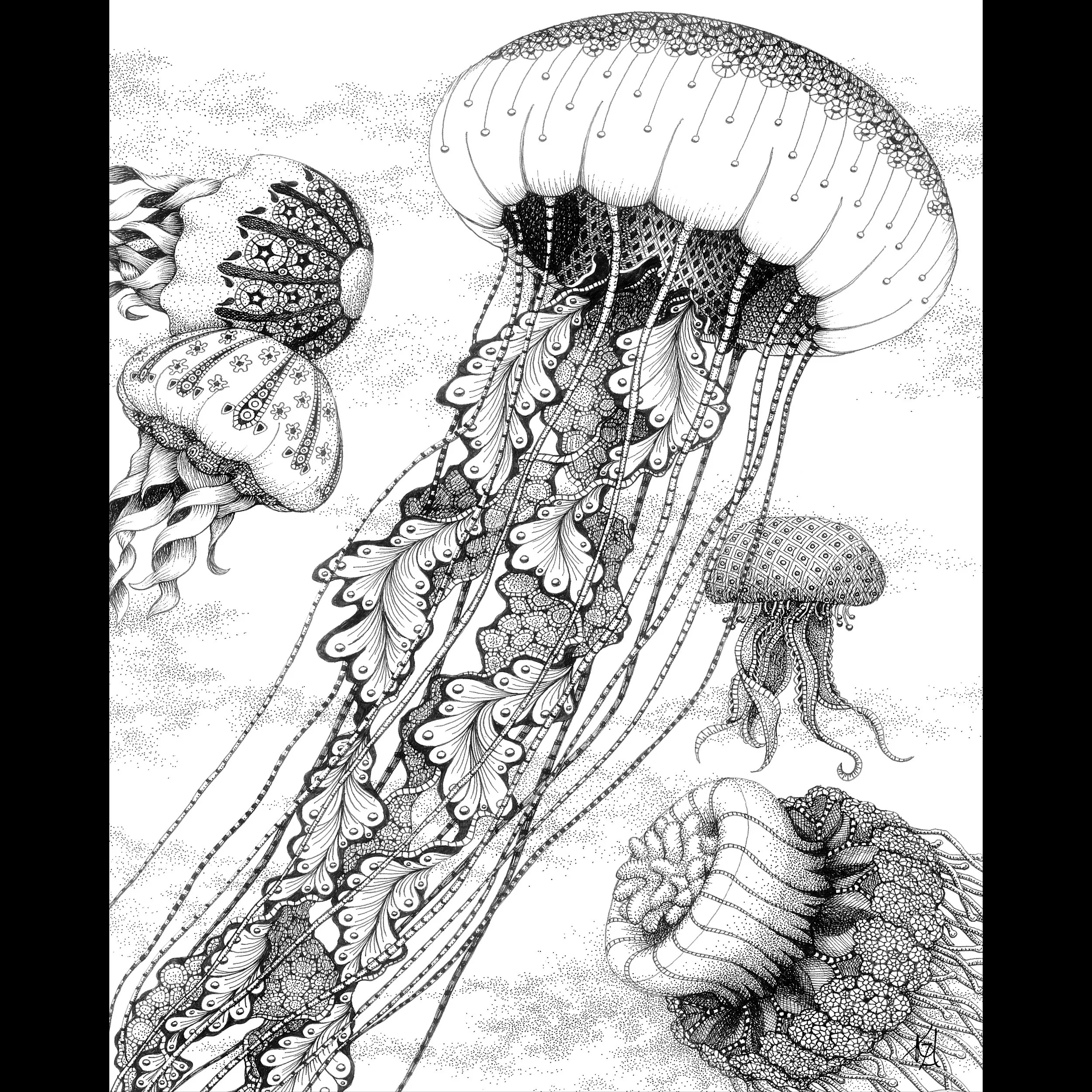 KRISTIN MOGER ART - Store- All work - Jellyfish Dance Collection of ...