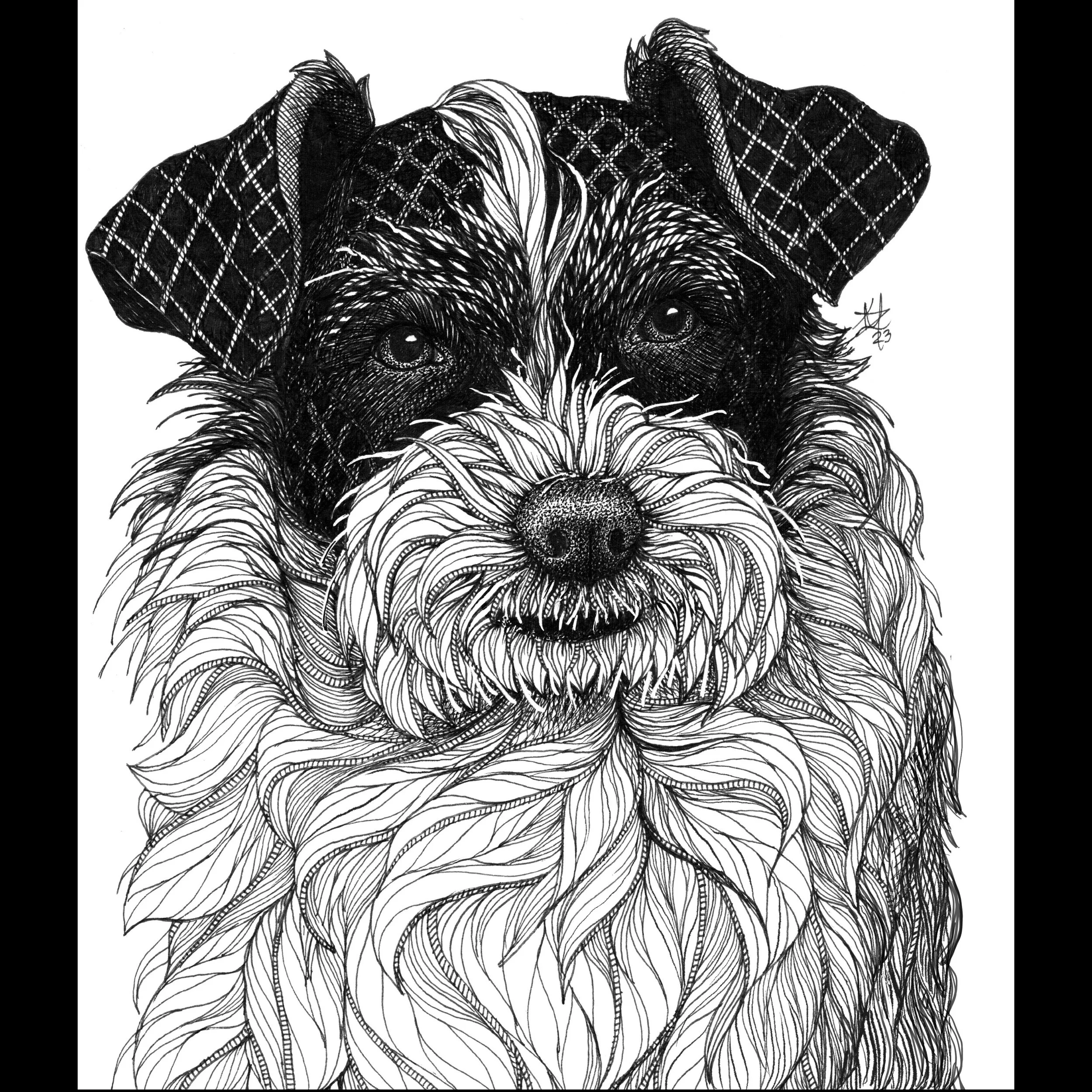 KRISTIN MOGER ART - Store- All work - Scruffy One Terrier Dog Portrait ...