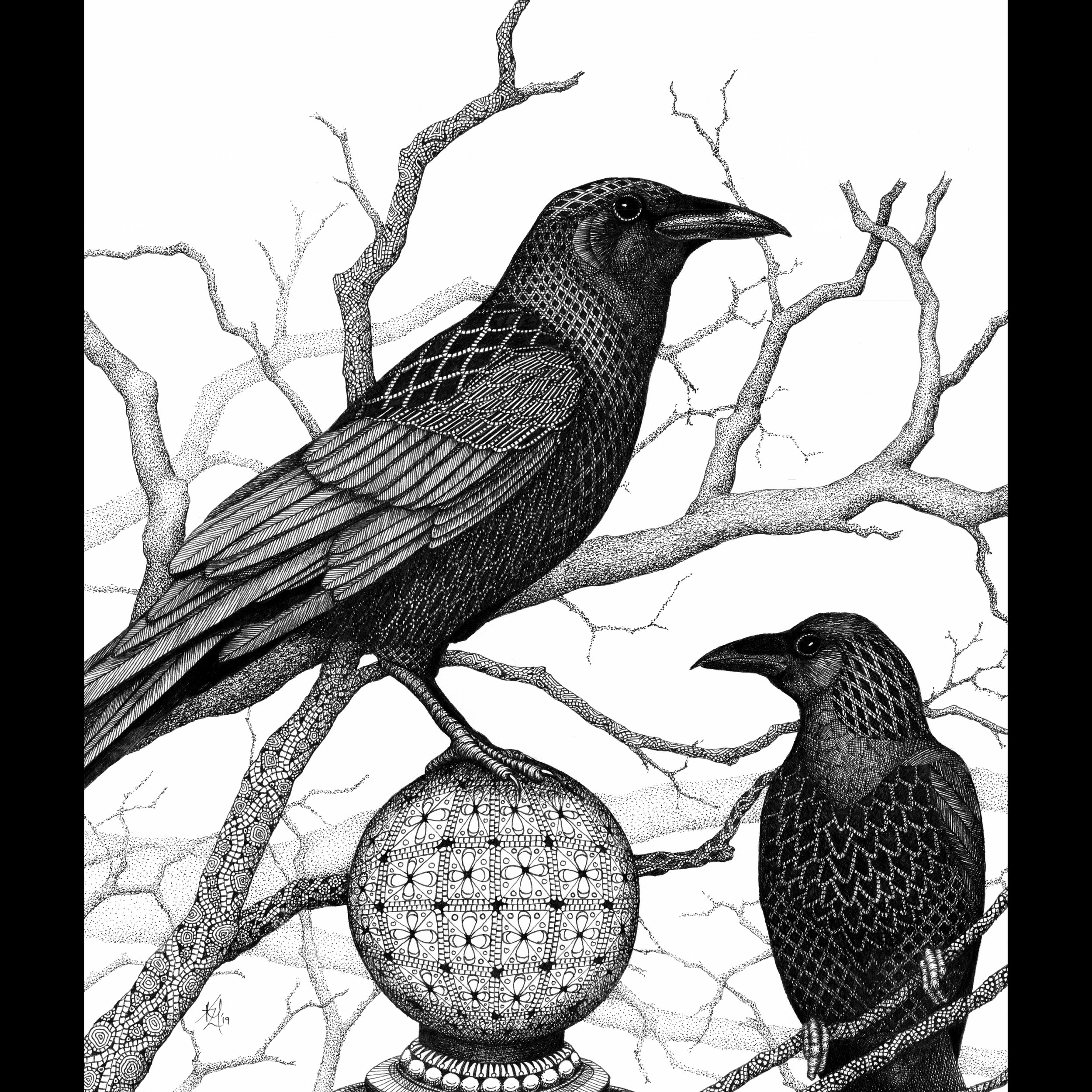 KRISTIN MOGER ART - Store- All work - Crows Drawing