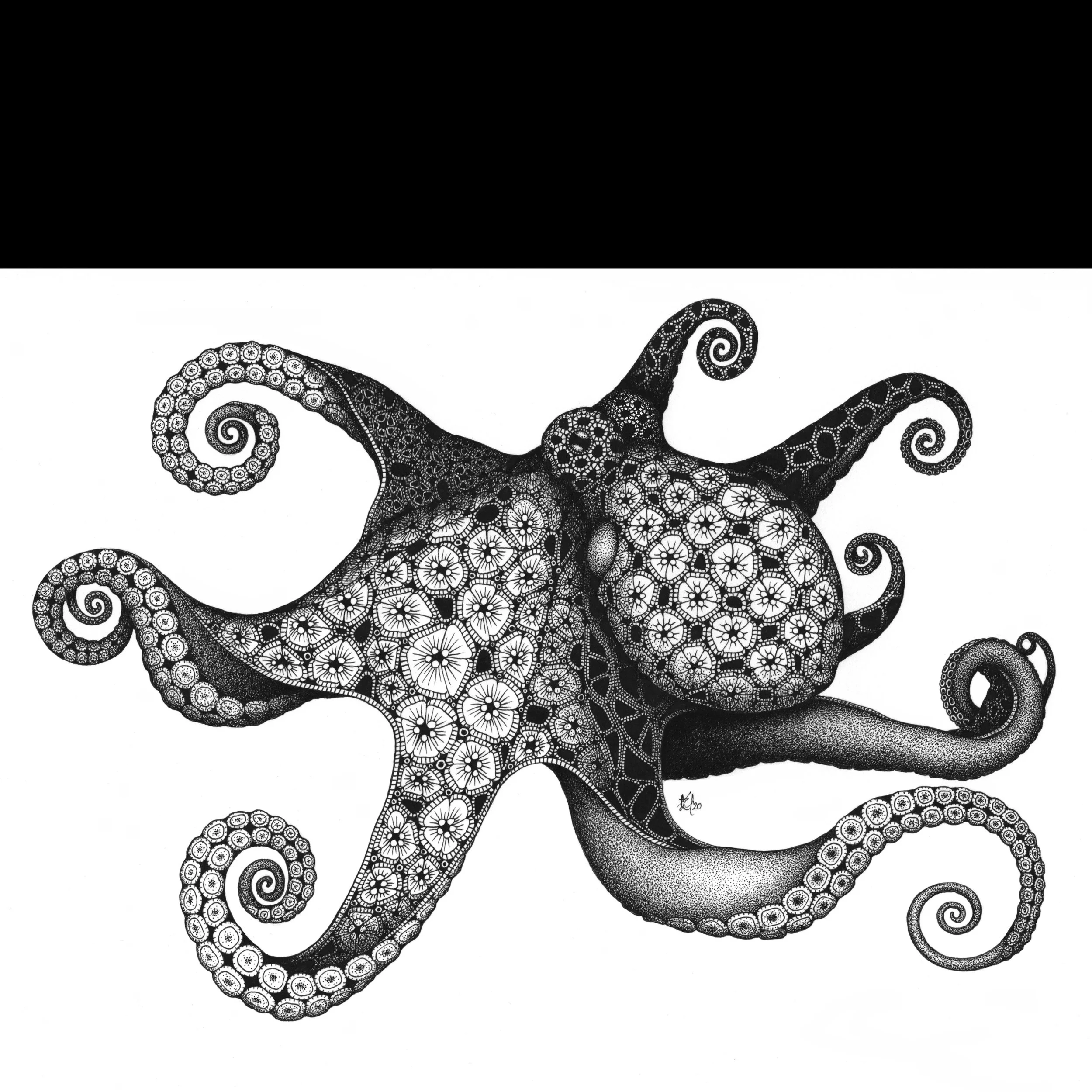 KRISTIN MOGER ART - Store- All work - My Octopus Ink Drawing