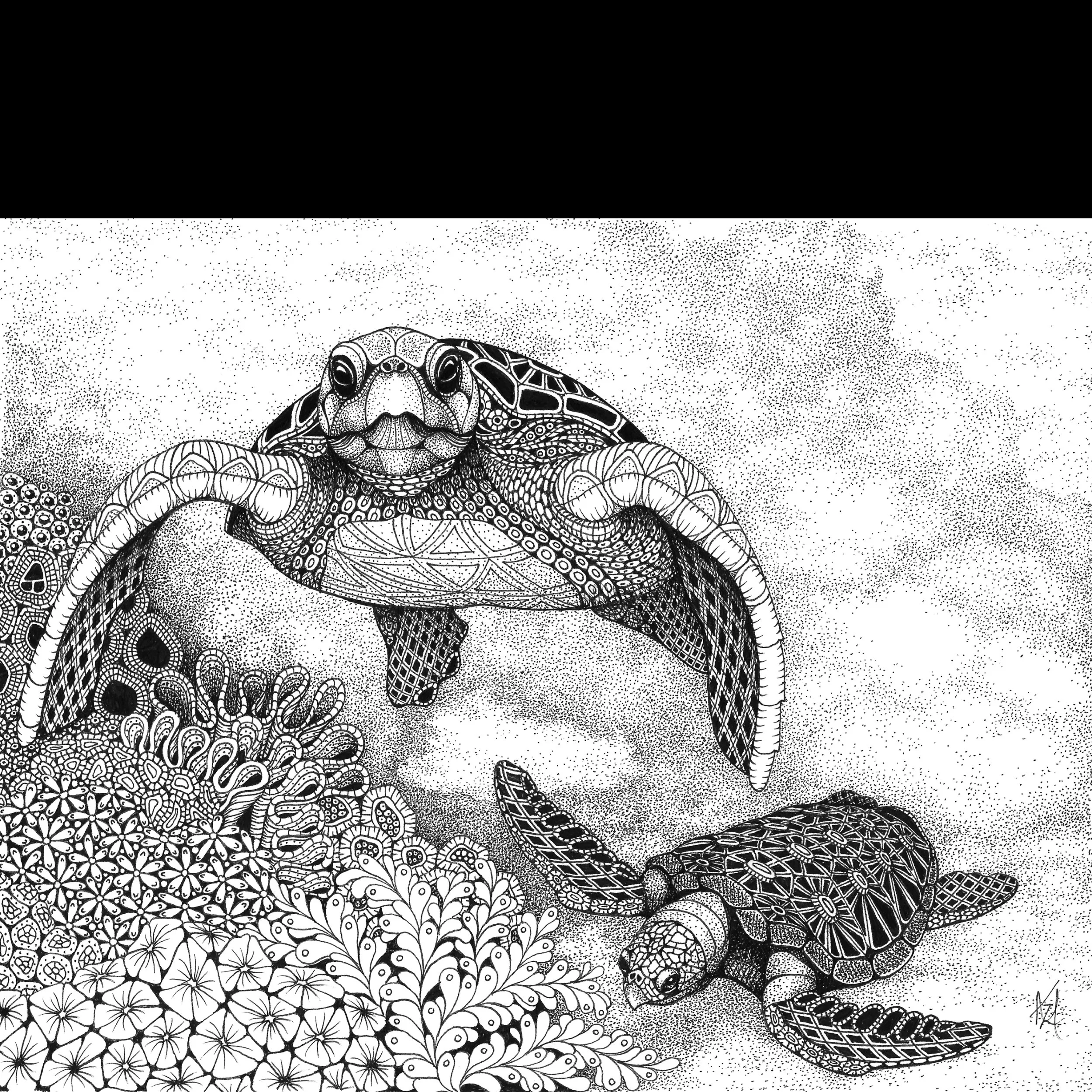 KRISTIN MOGER ART - Store- All work - Underwater Flyer Sea Turtle Ink ...