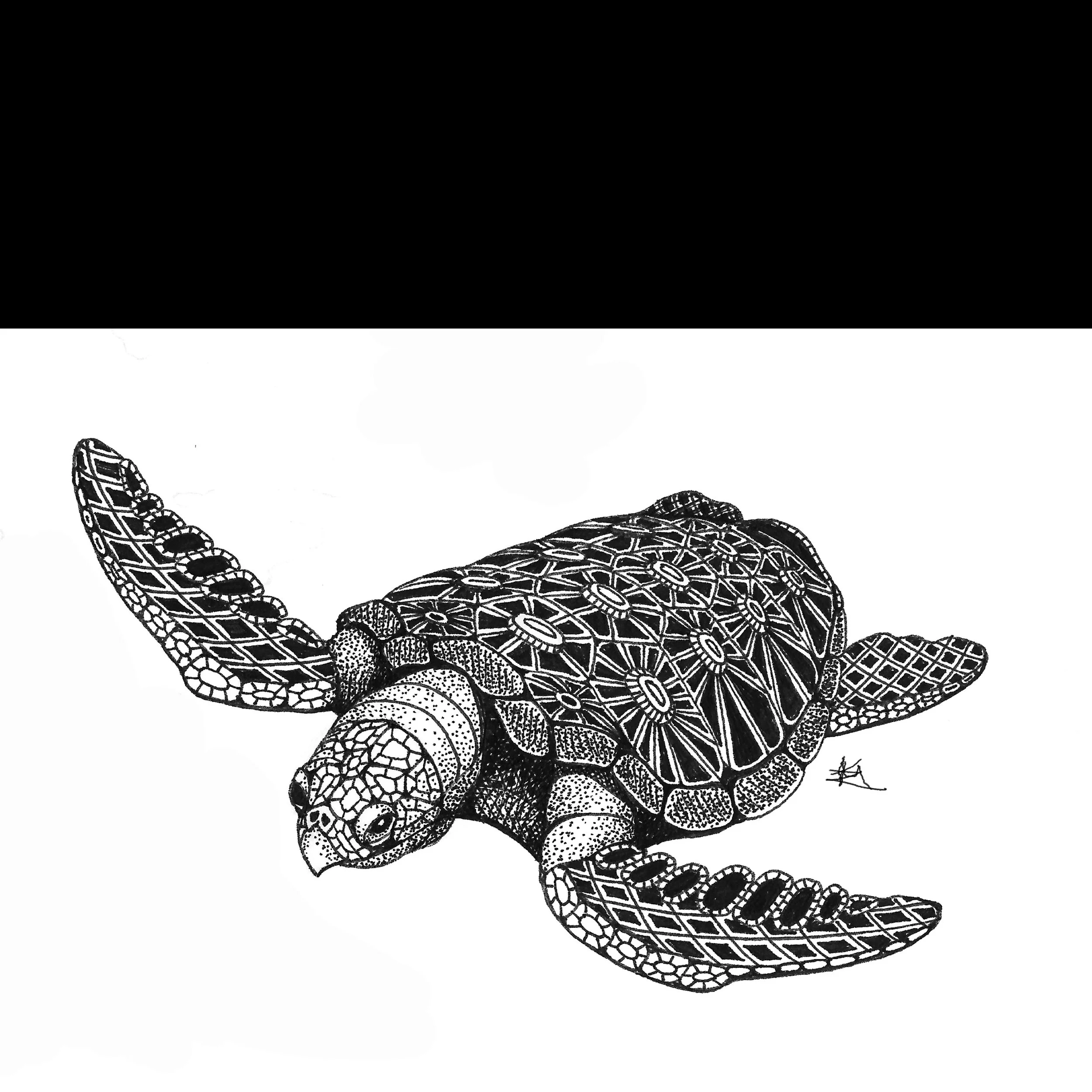 KRISTIN MOGER ART - Store- All work - Underwater Flyer Sea Turtle Ink ...