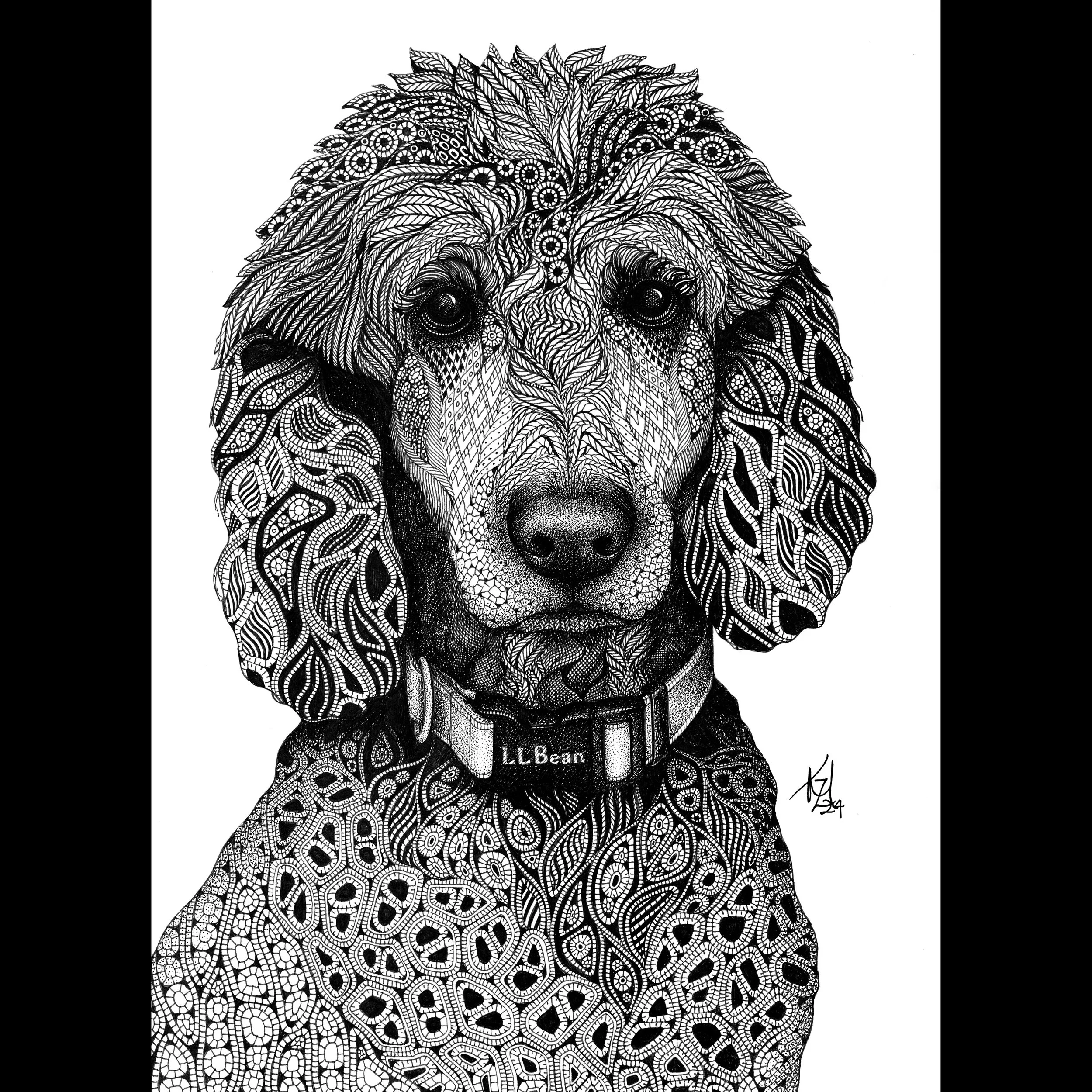 KRISTIN MOGER ART - Store- All work - Highly detailed Standard poodle ...