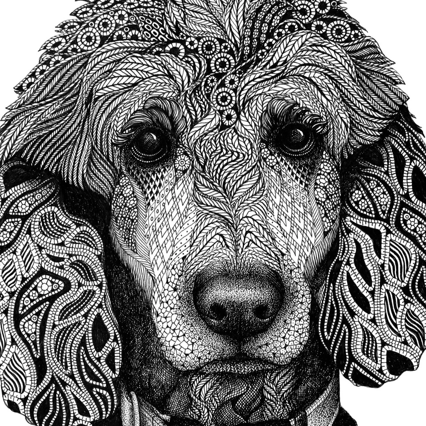 KRISTIN MOGER ART - Store- All work - Highly detailed Standard poodle ...