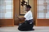 Hara Development | Hara Breathing | Zen Hara — Chosei Zen