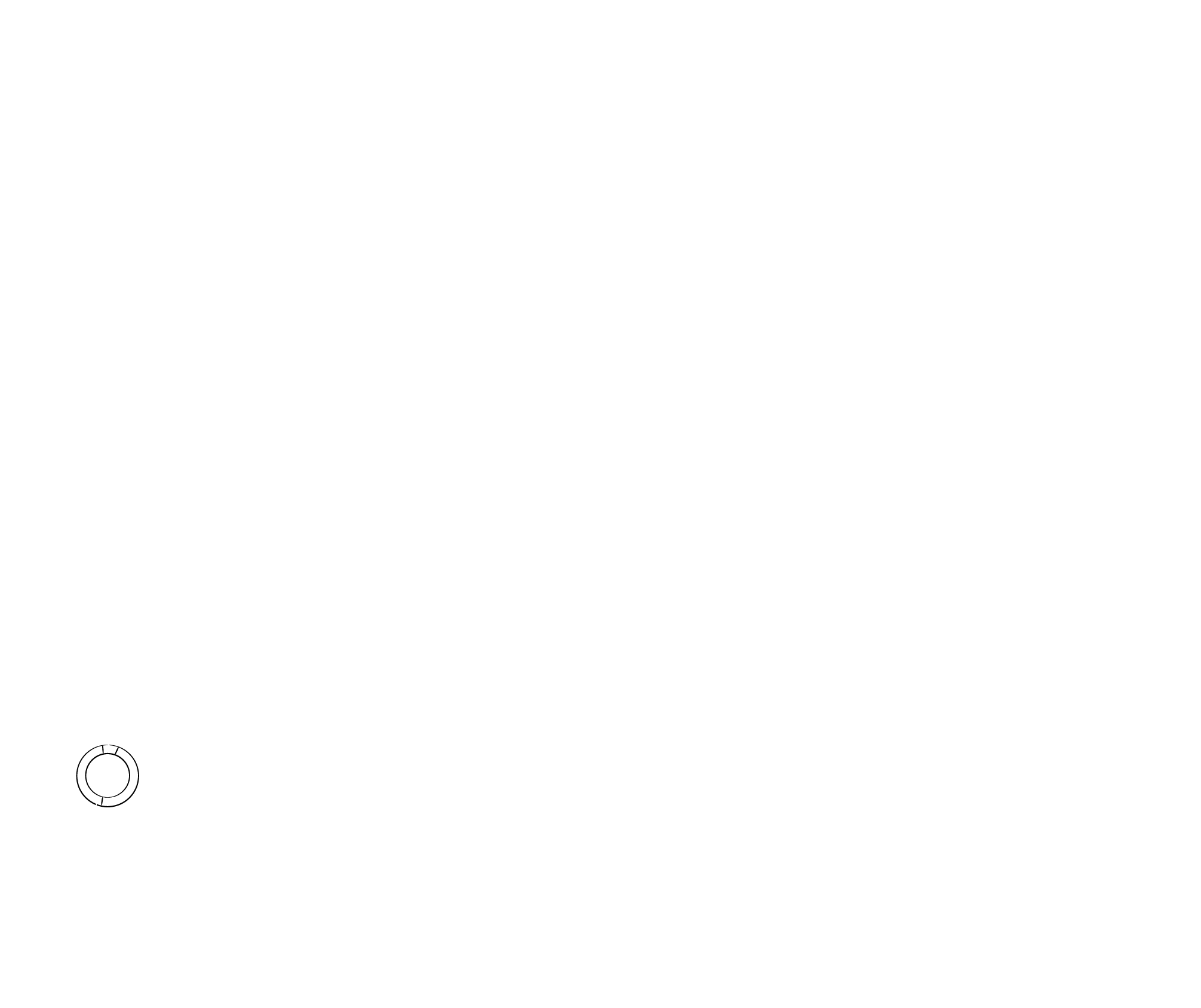 Solutions — Student Health Network (SHN)