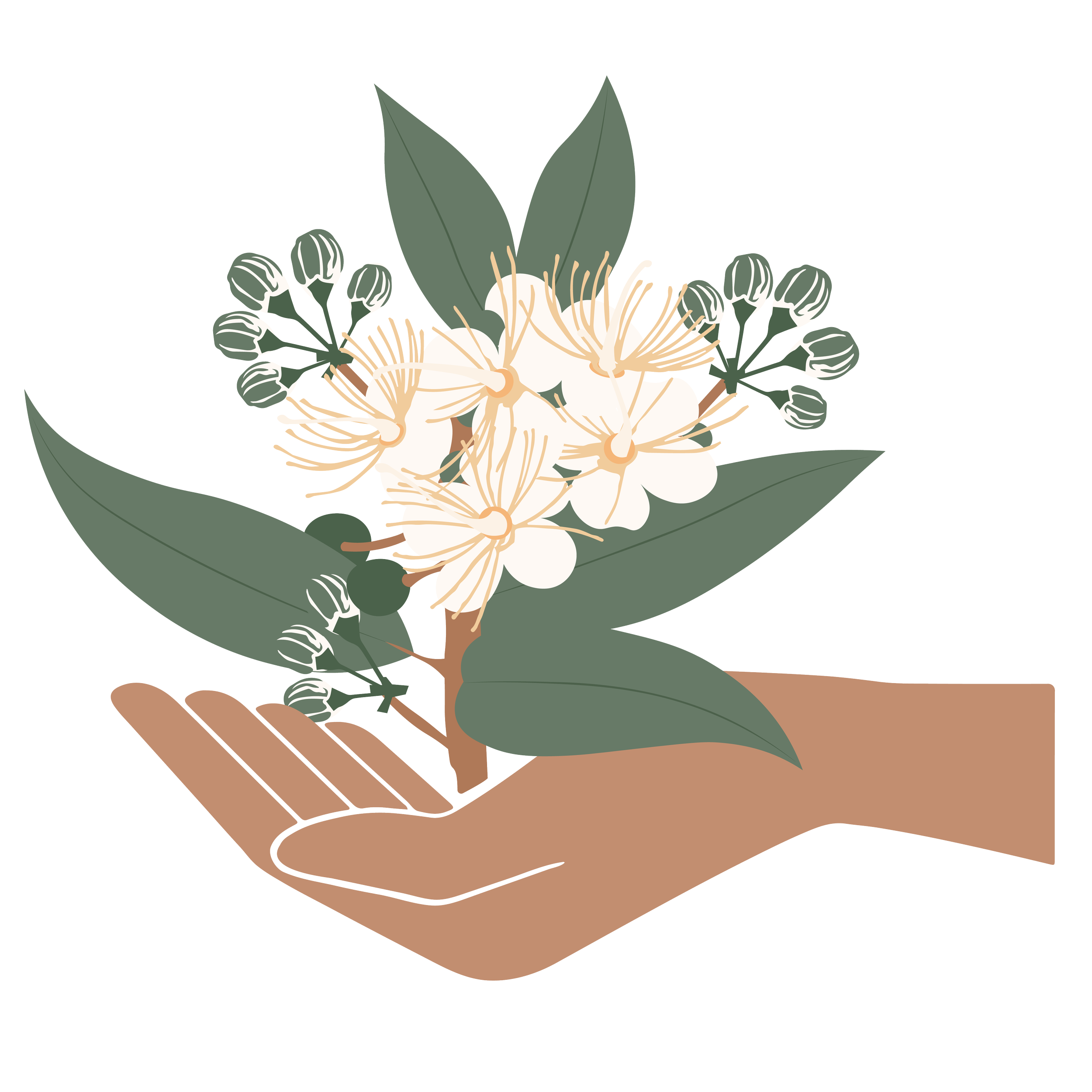 Our Logo — Berkeley Vale Community Preschool