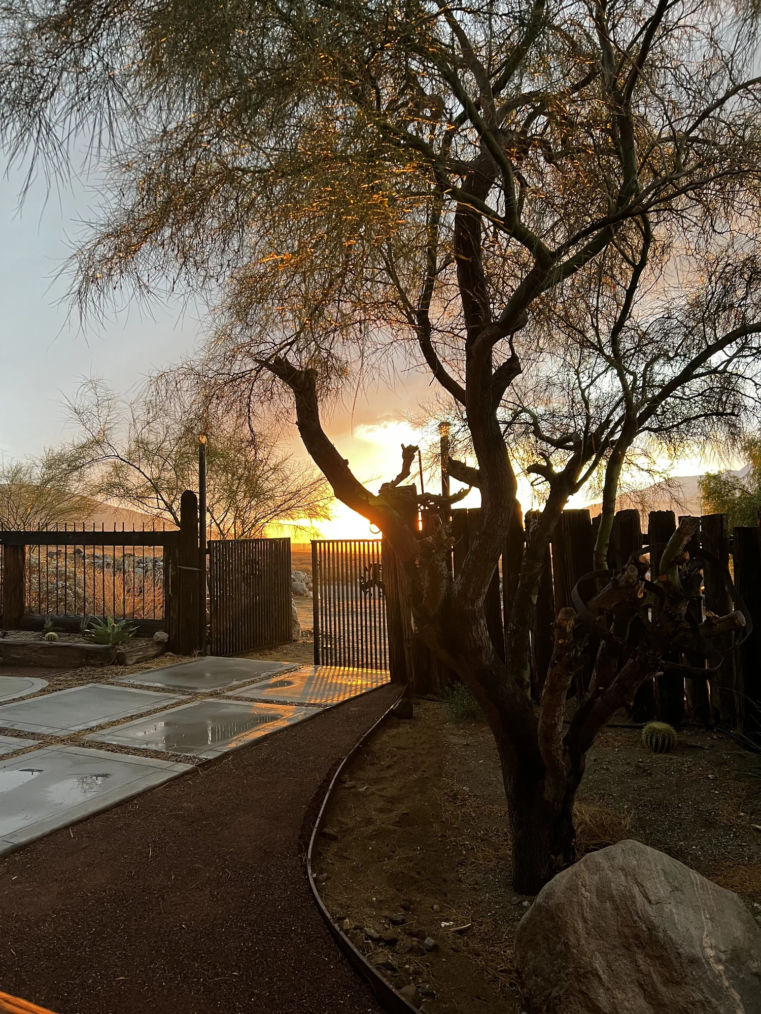 Gallery 1 — The Desert Shack