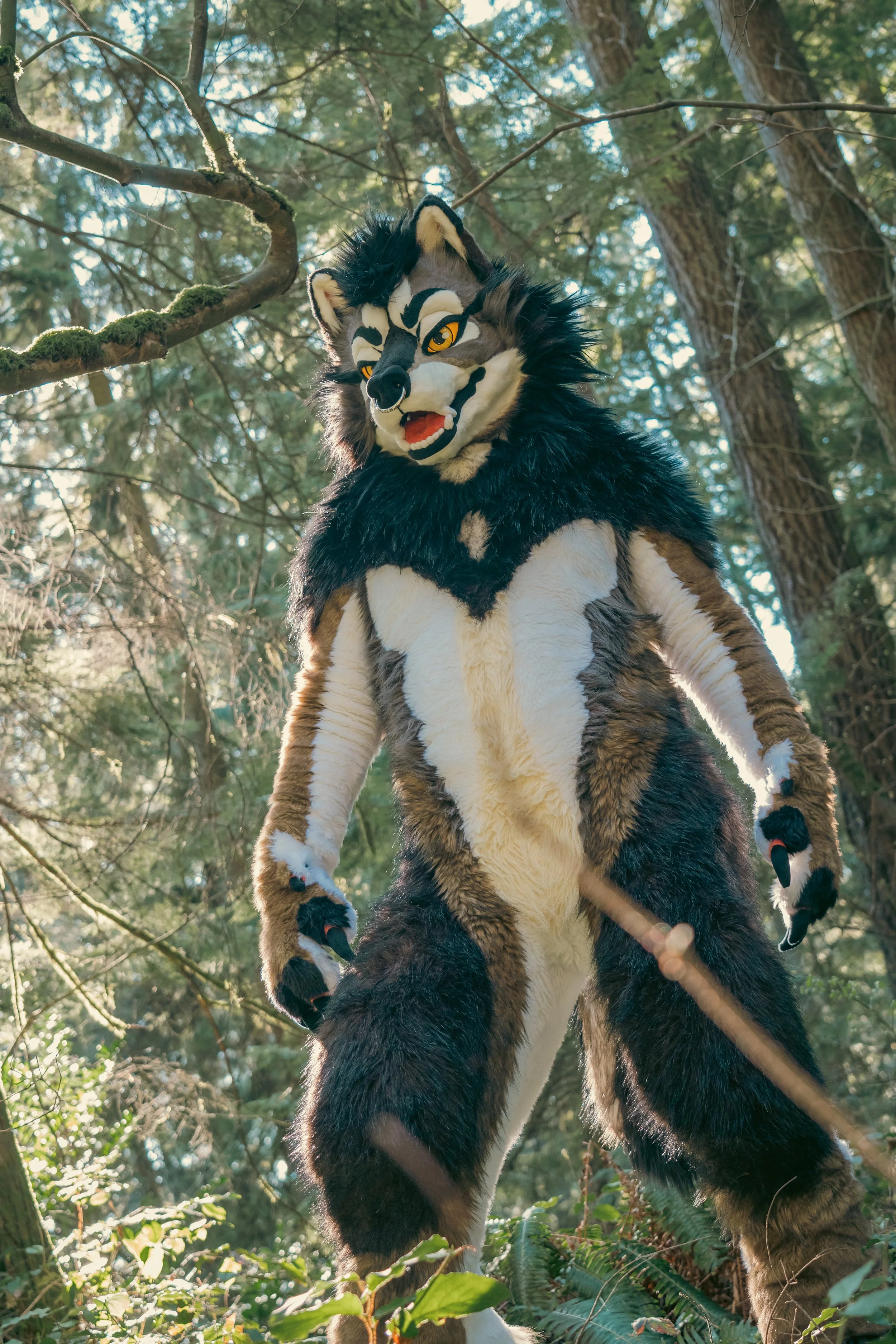 Gallery 2024 — Midnight Makers