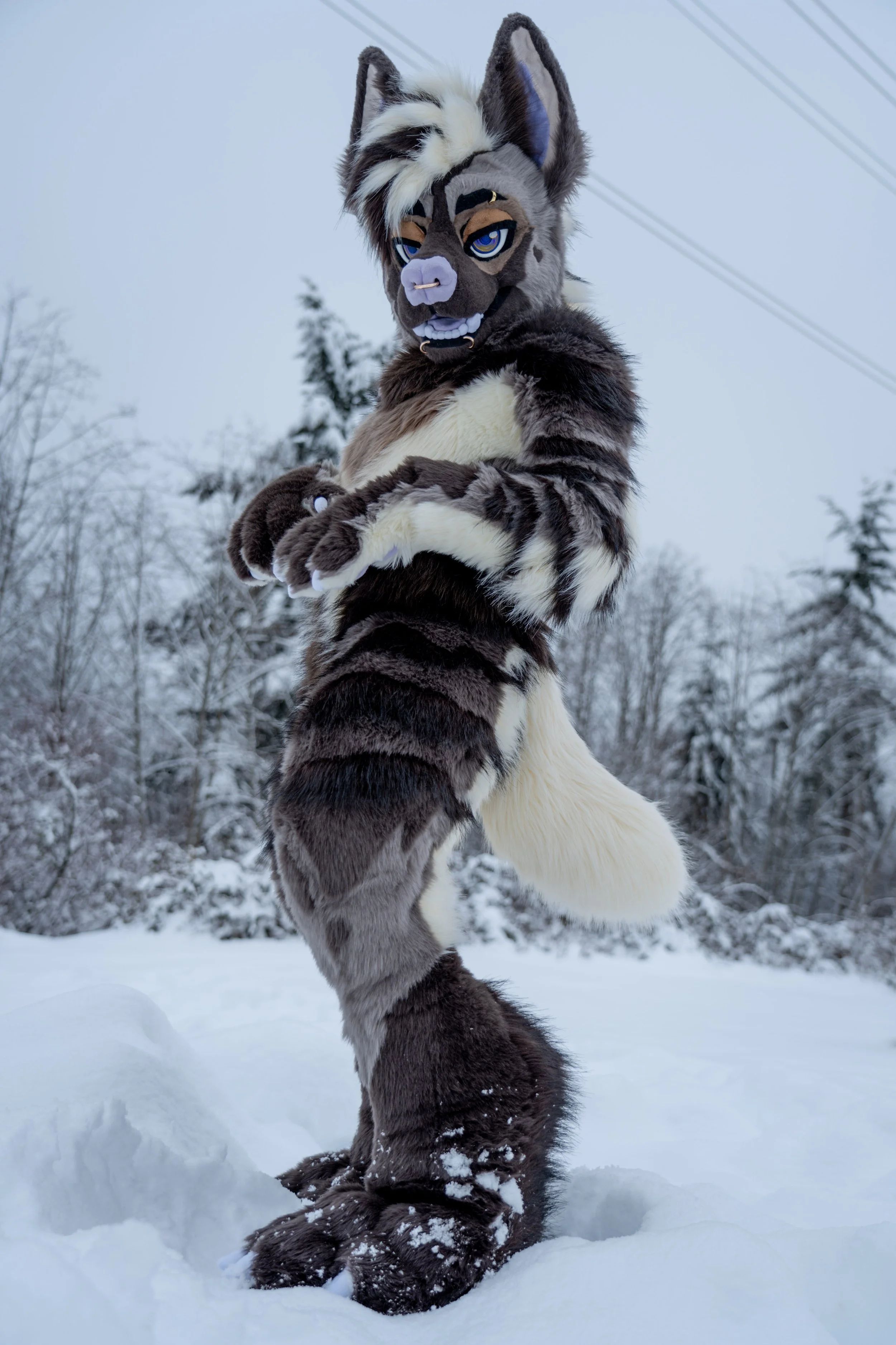 Prices — Midnight Makers