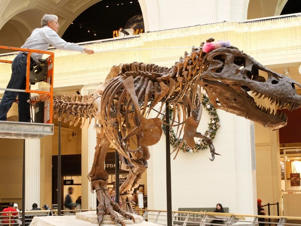 Must Visit Museums to take your kids to in Chicago — Blog