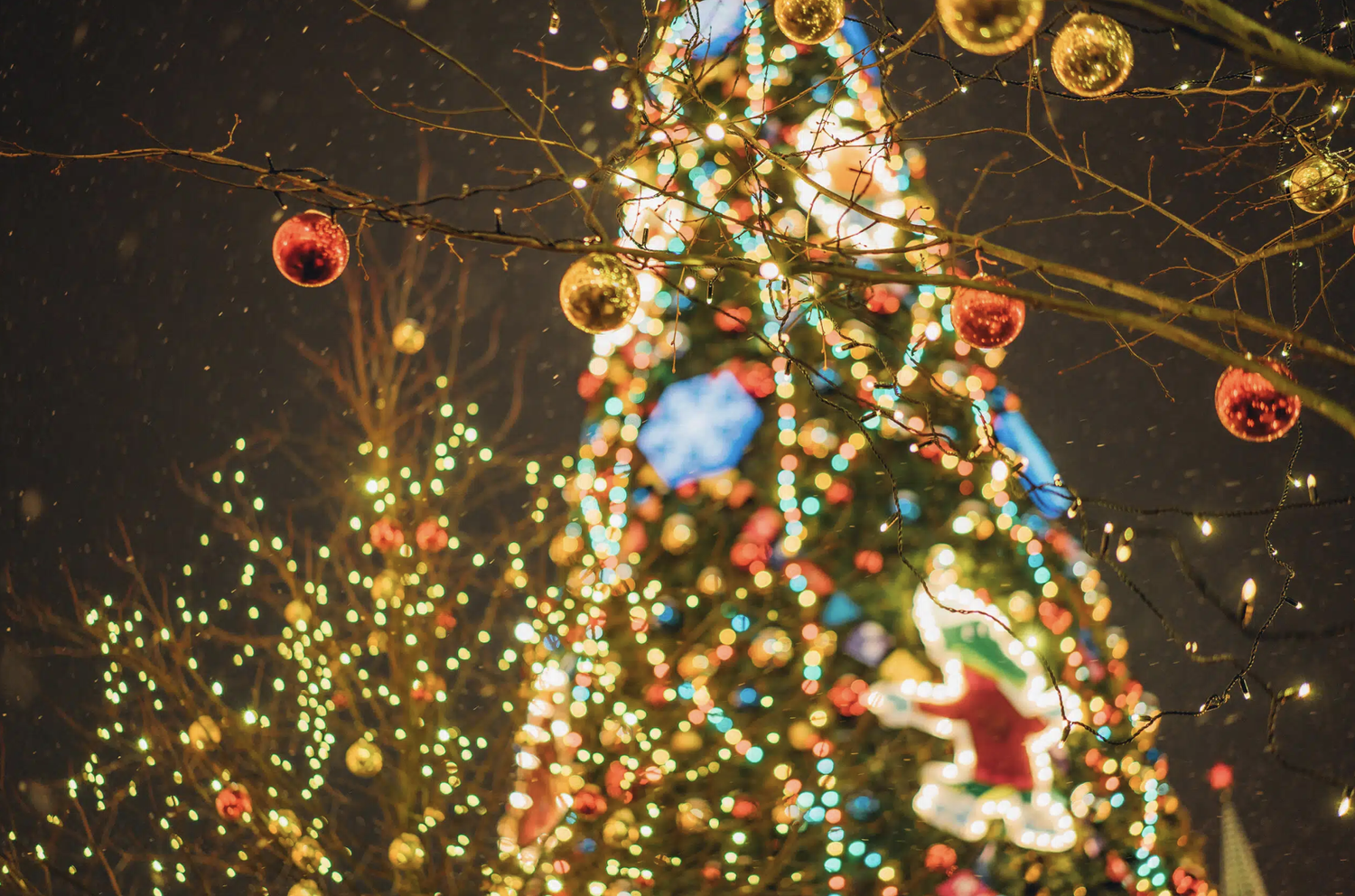 Your Guide to Walk-Thru Light Shows & Displays — Blog
