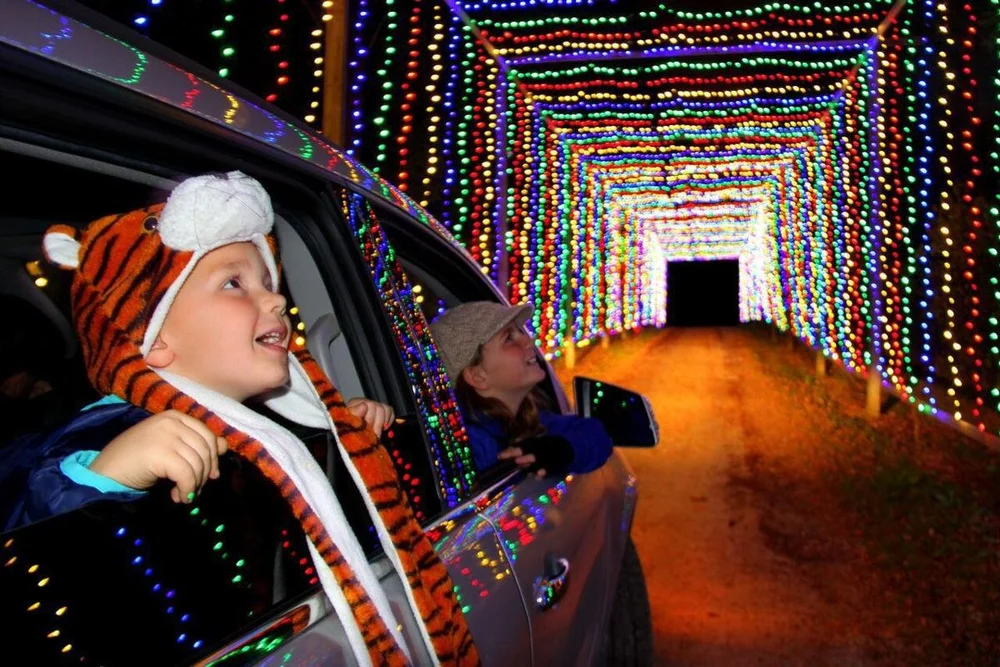 Best Drive-Thru Light Shows in Chicago — Blog