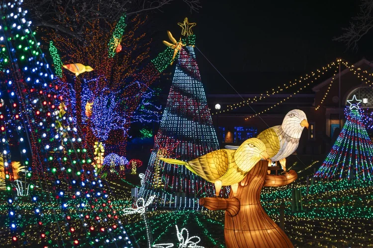 Your Guide to Walk-Thru Light Shows & Displays — Blog