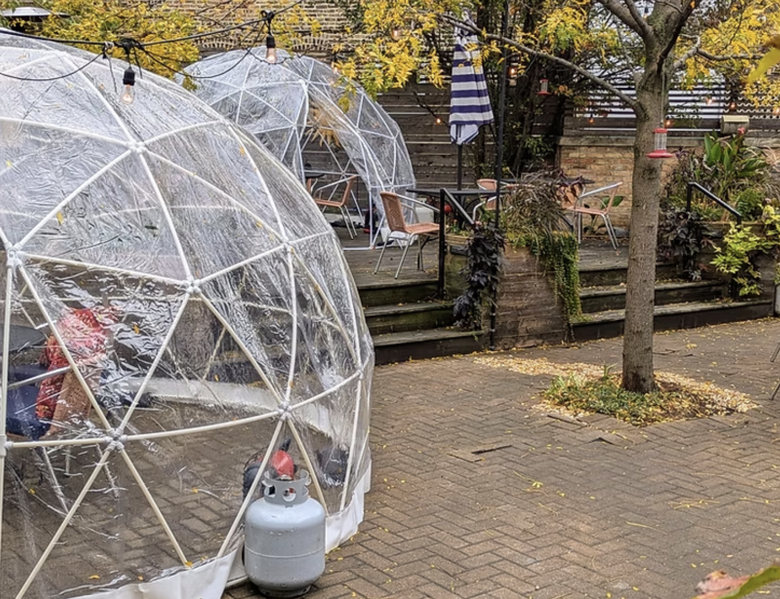 Igloos, Globes, Cabanas and other Outdoor Dining Options During the ...