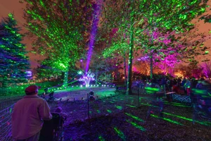 Your Guide to Walk-Thru Light Shows & Displays — Blog