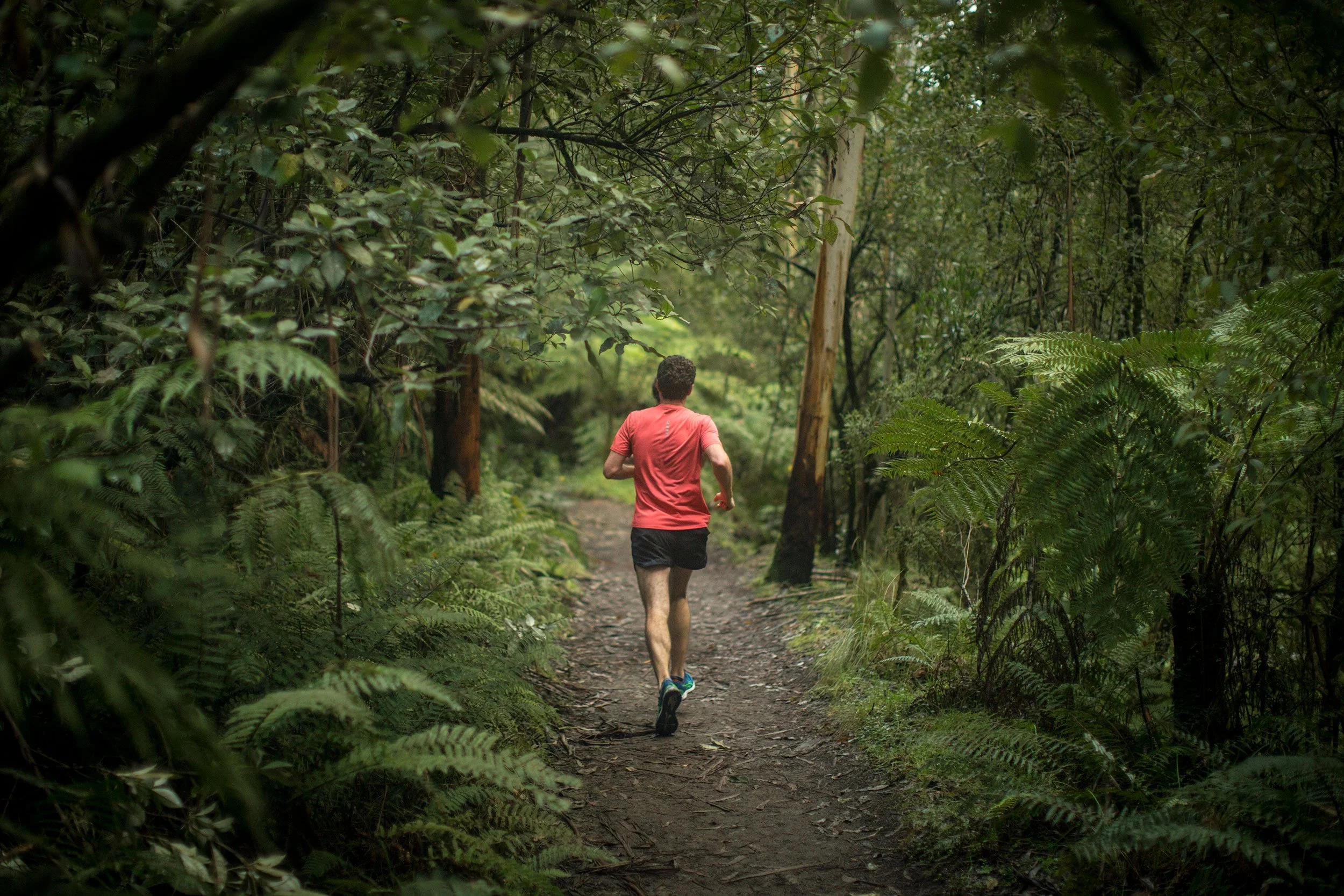 EVENT DETAILS — Run Forest