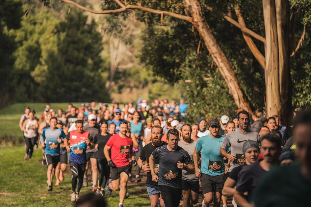 Run Forest
