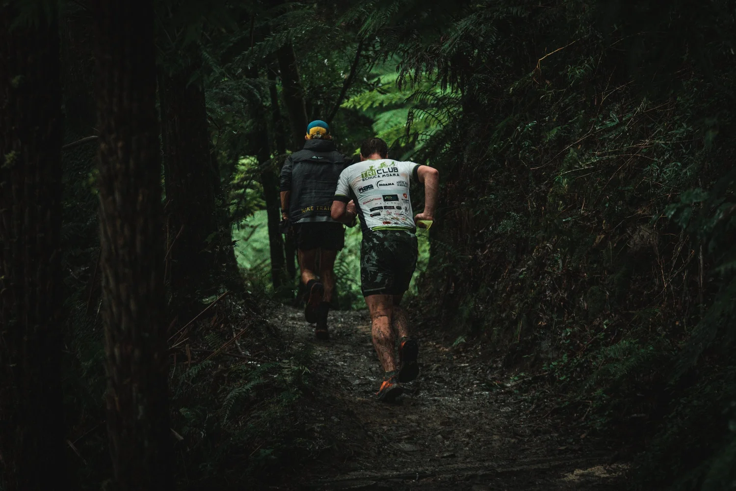 MAPS & INFO — Run Forest