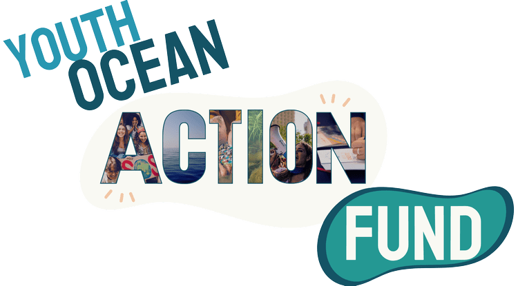 Youth Ocean Action Fund — Young Sea Changers Scotland