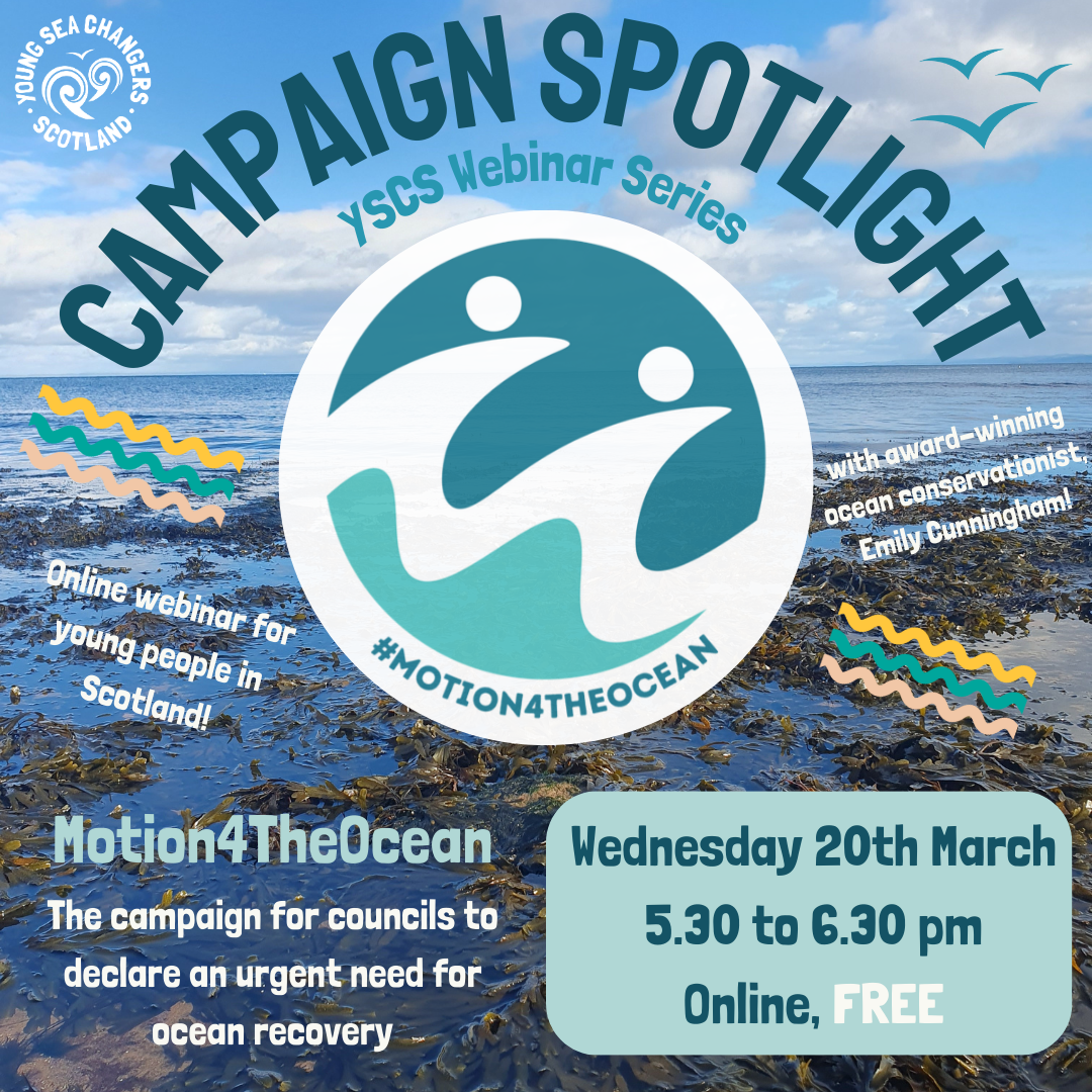 Who we are — Young Sea Changers Scotland