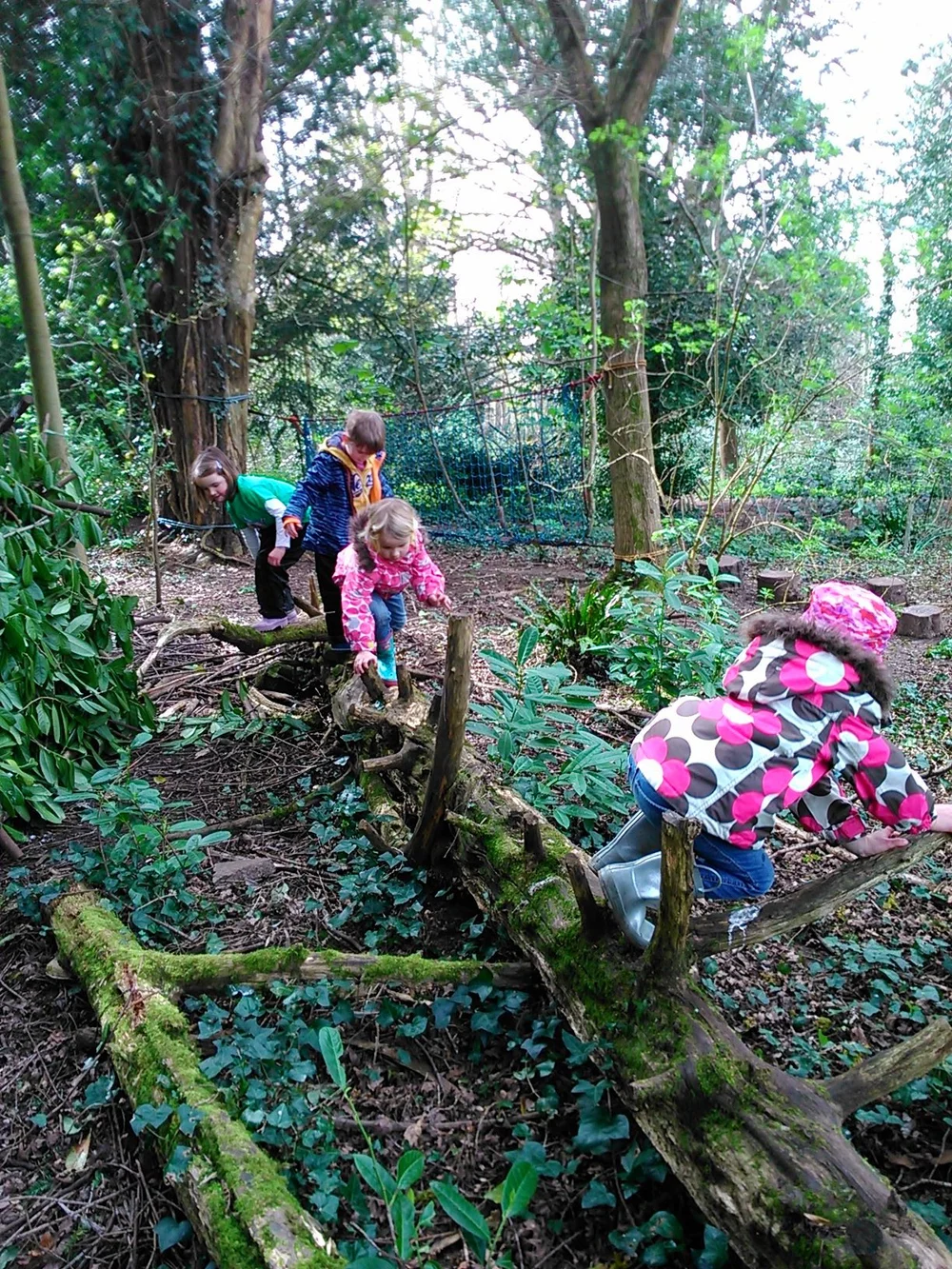 Our Ethos — Bristol Forest School
