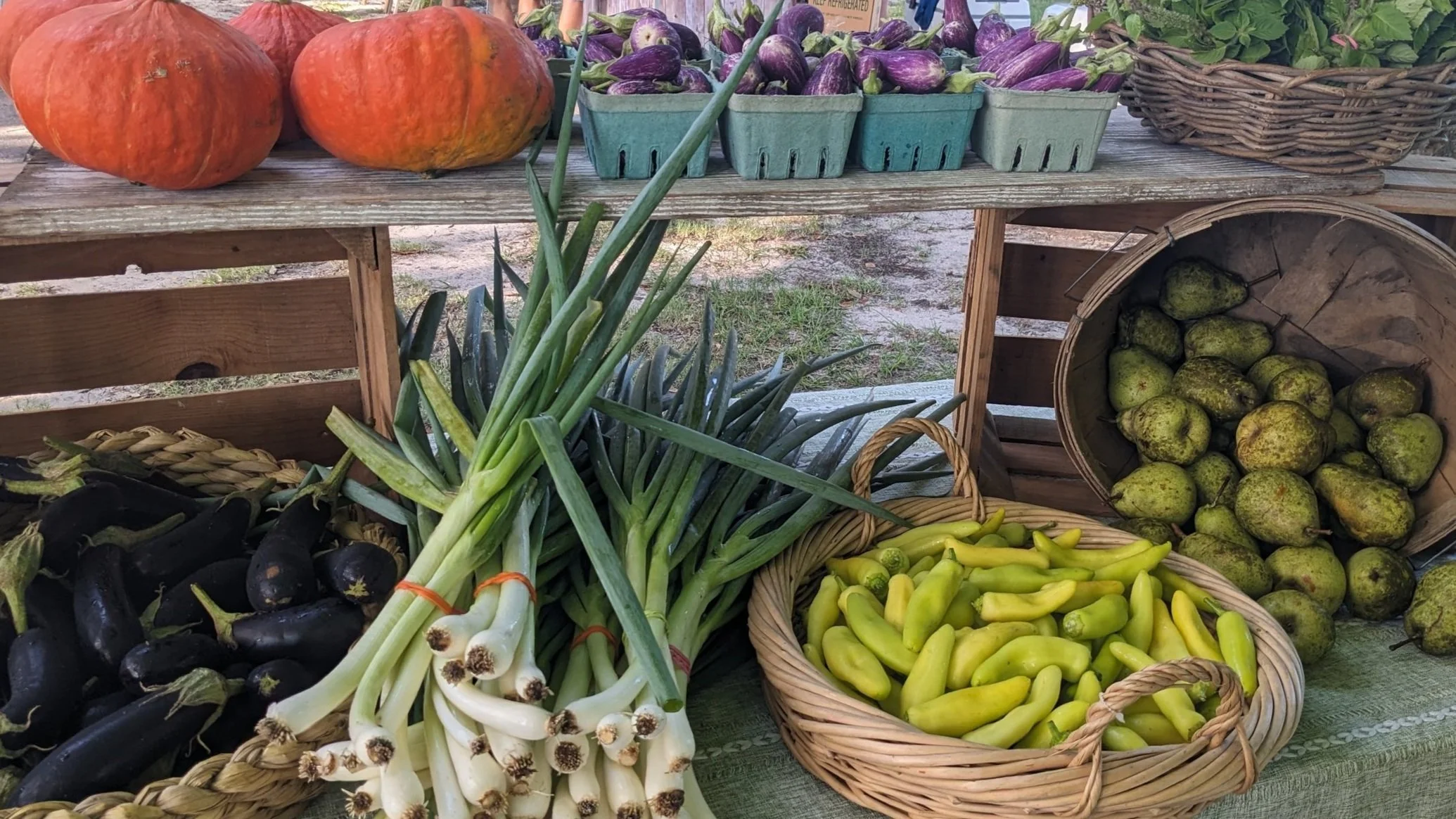 Forsyth Farmers' Market | Fresh Local Produce | Savannah Farmers Market ...