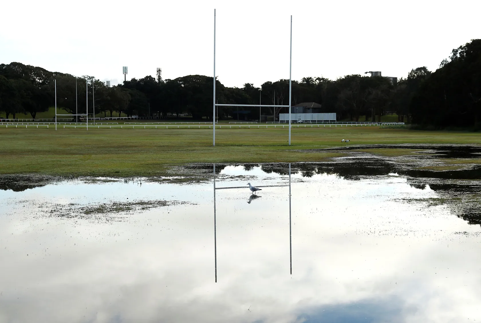 The world of rugby is tackling climate change — Wavezero