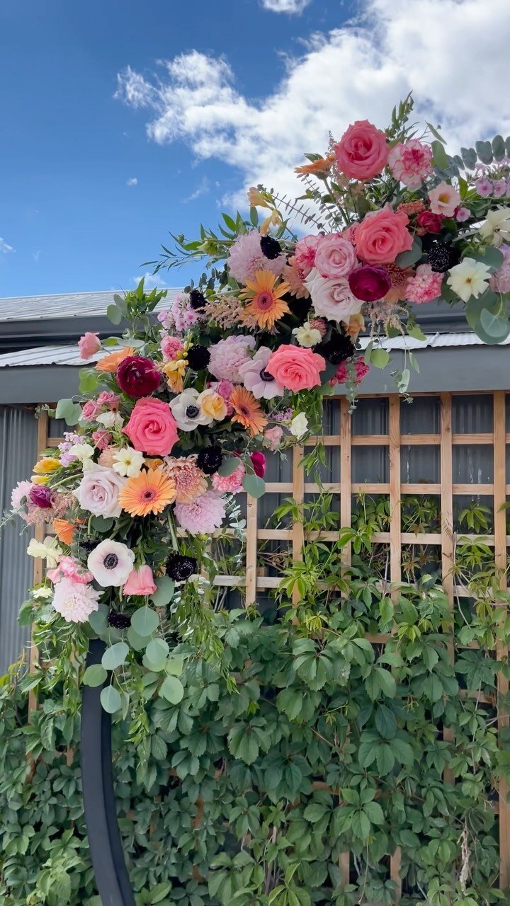 The Bloom Studio — Kayware