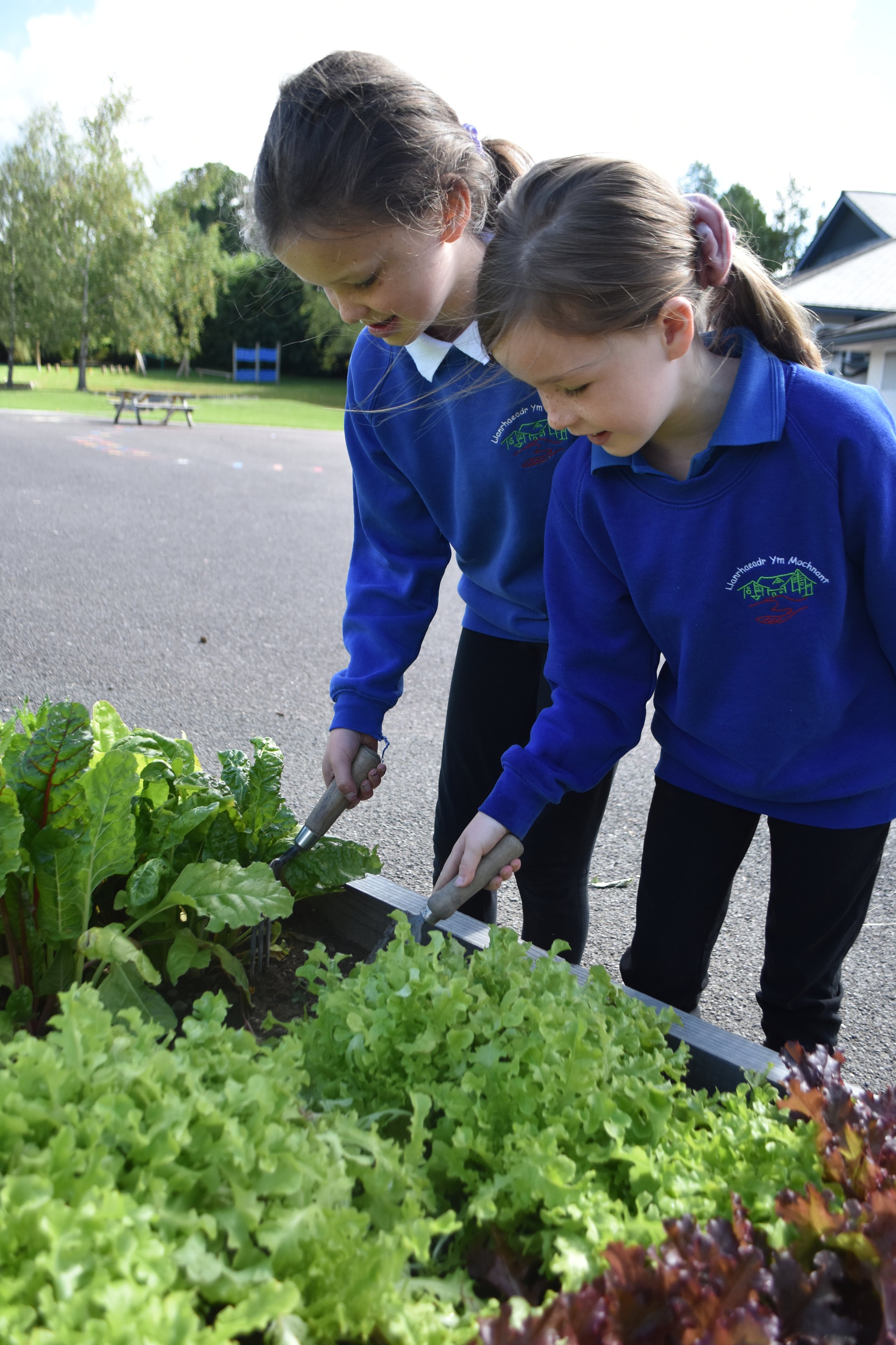 Ysgol Gynradd Llanrhaeadr ym Mochnant