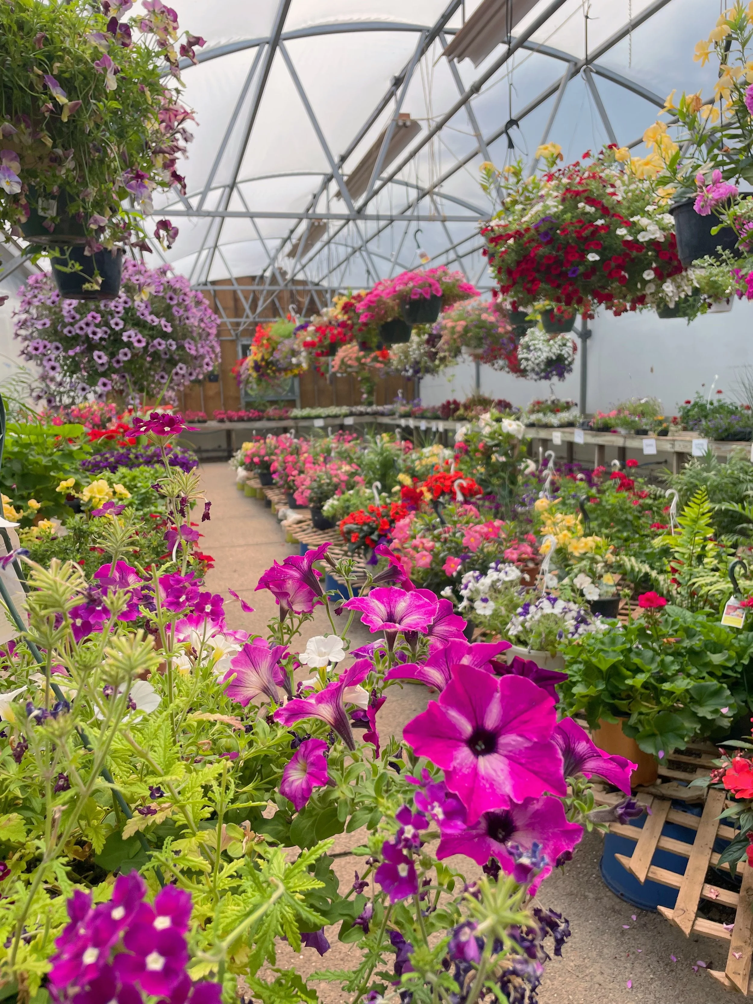 About 5 — The Landscape Center by Evanovich