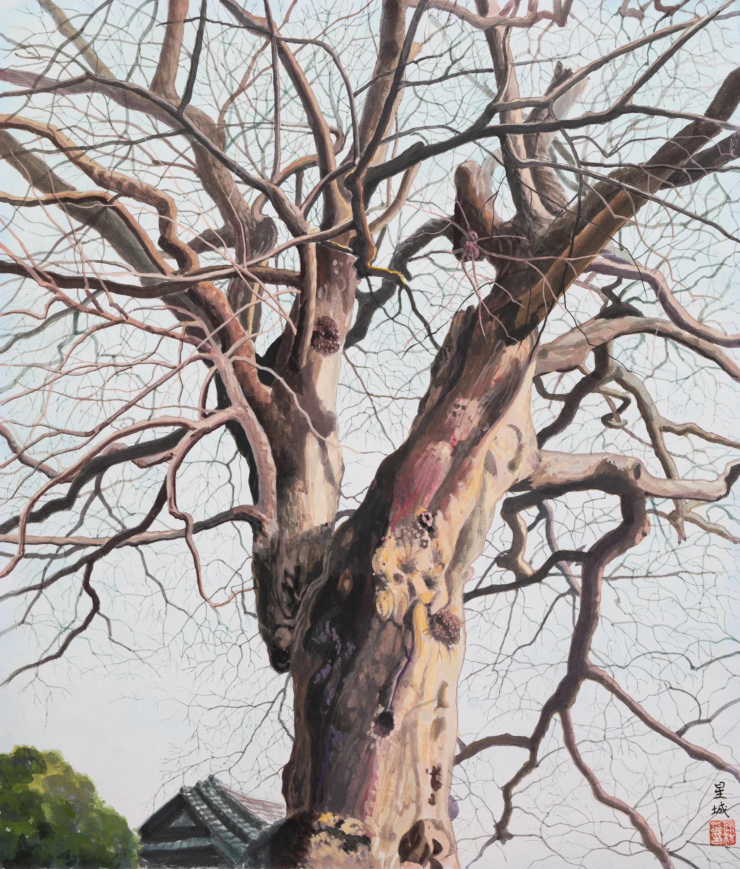 GIANT CRATE MYRTLE (21"x18") — Makoto Hoshina Art Gallery