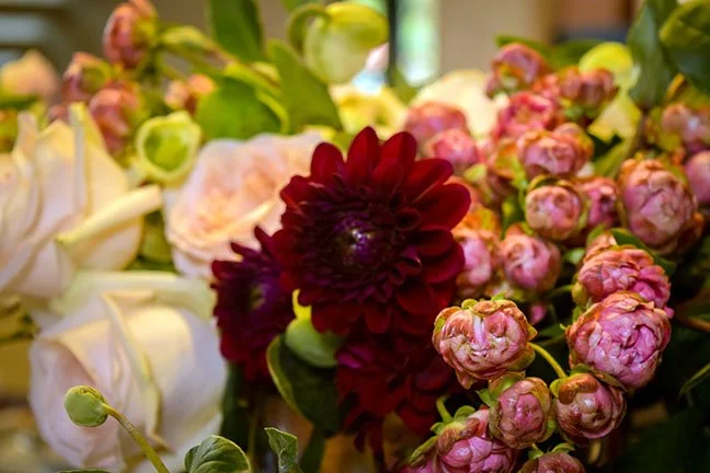 Princess Garden Roses