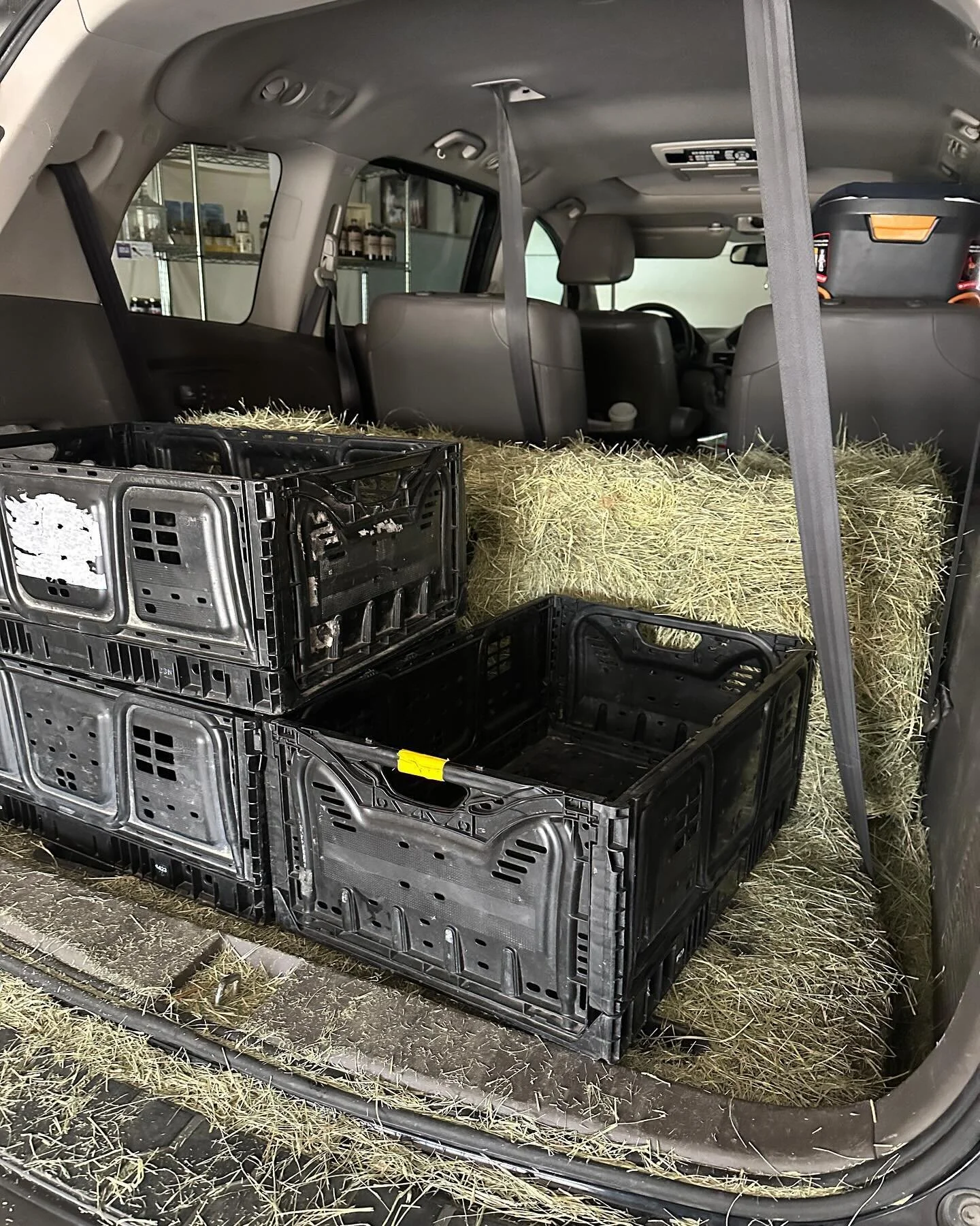 The 75 Oaks | Local Fresh Farm Goods | Pastured Eggs | Raw Honey ...