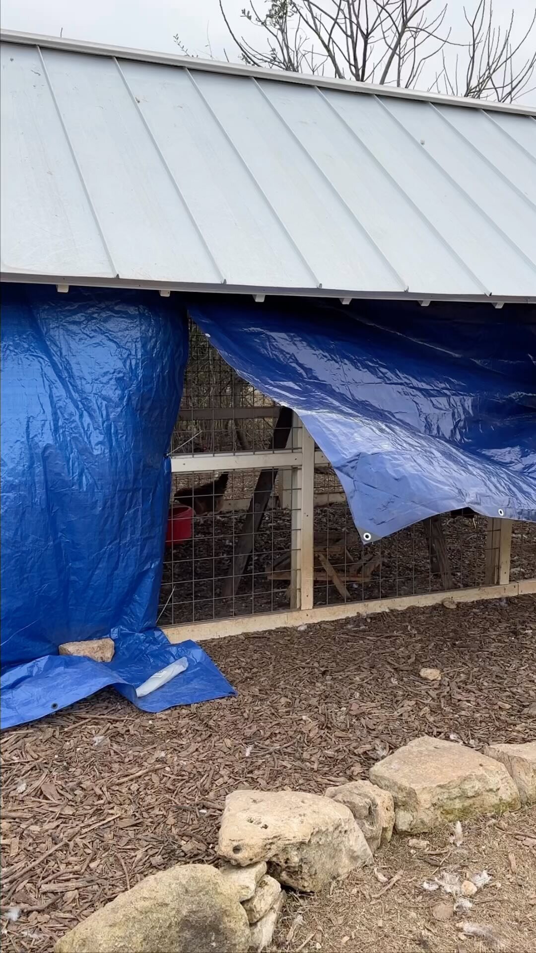 The 75 Oaks | Local Fresh Farm Goods | Pastured Eggs | Raw Honey ...