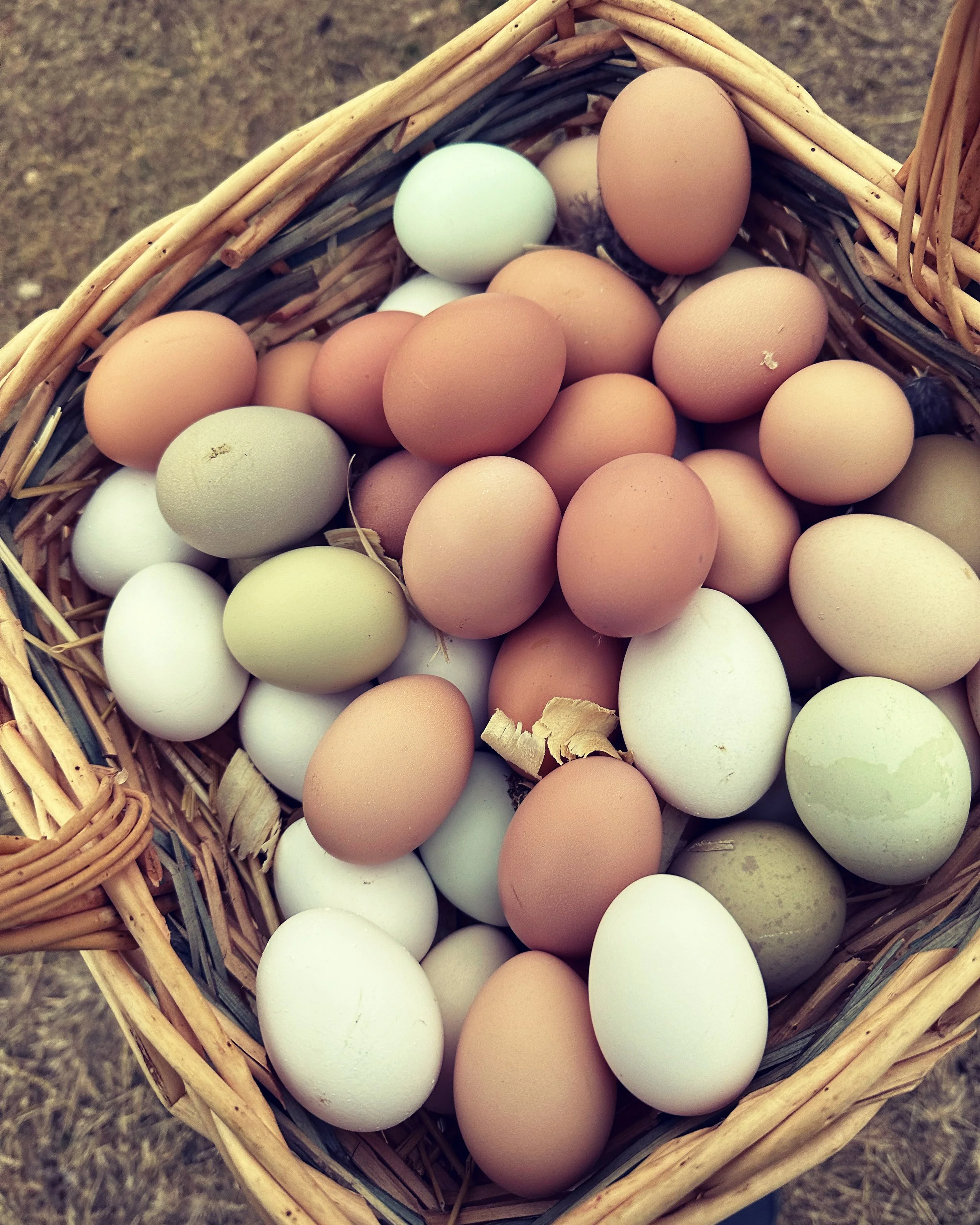 The 75 Oaks | Local Fresh Farm Goods | Pastured Eggs | Raw Honey ...
