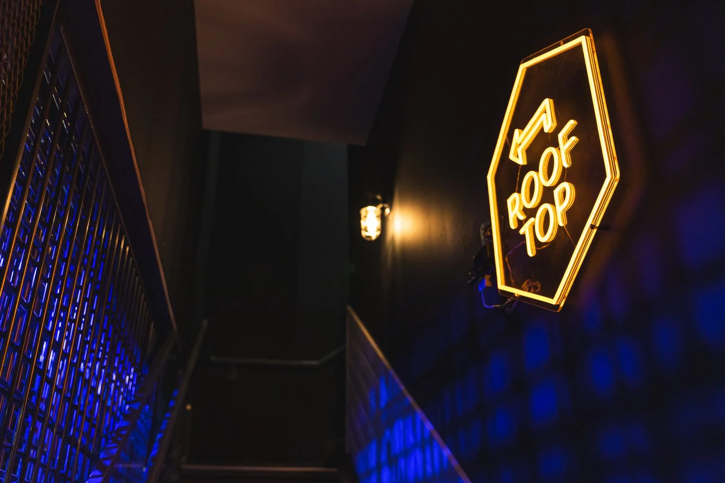 KORILLA — Oktop Gallery