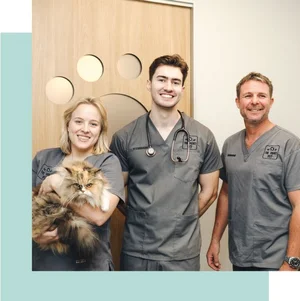 THE CLINIC — The Point Vet