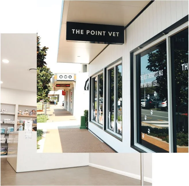 The Point Vet