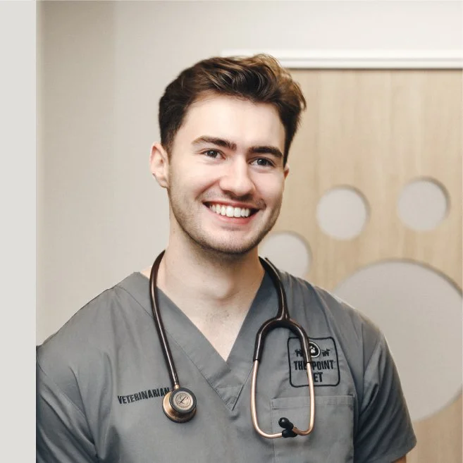 TEAM — The Point Vet