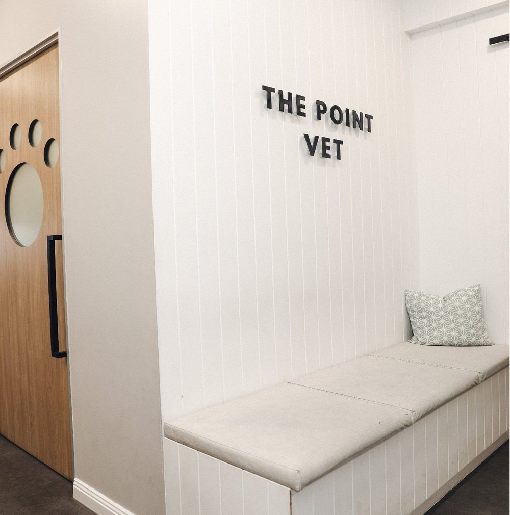 THE CLINIC — The Point Vet