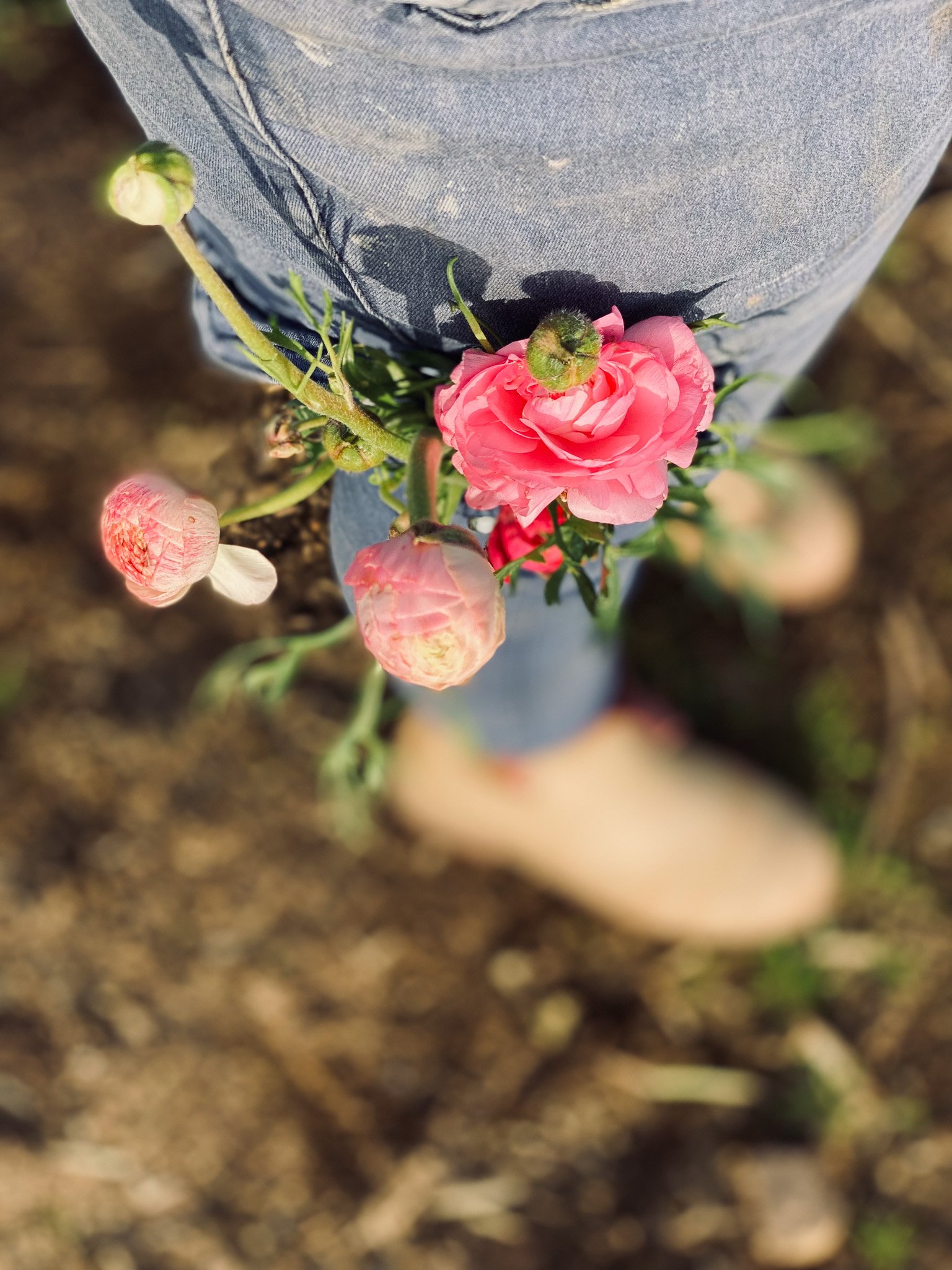 ABOUT — Autumn Mae Flower Farm