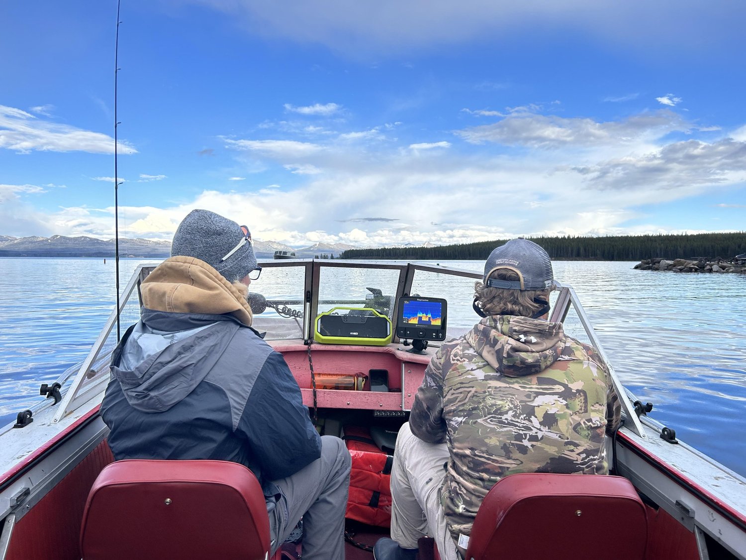 Degenerate Fish Hippies