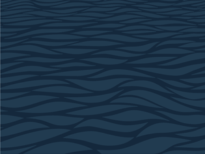 Blue Wolf Transformations