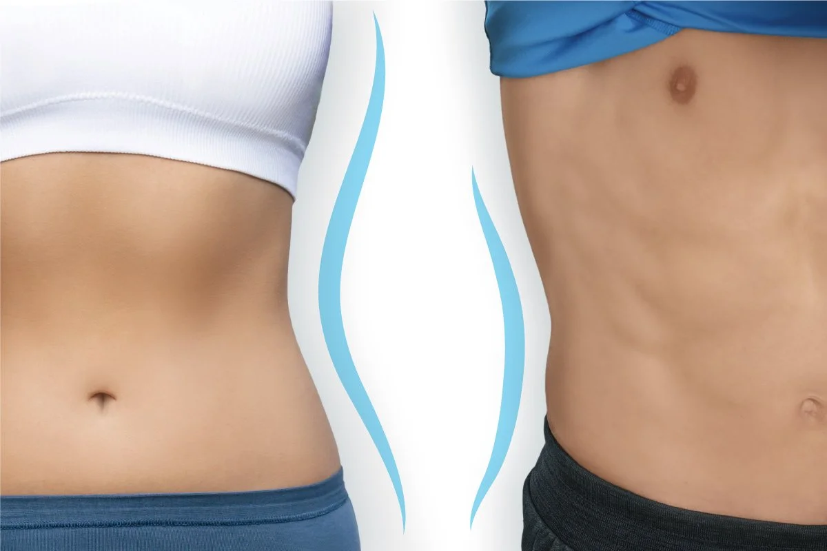 Belly Fat Removal — Blue Wolf Transformations