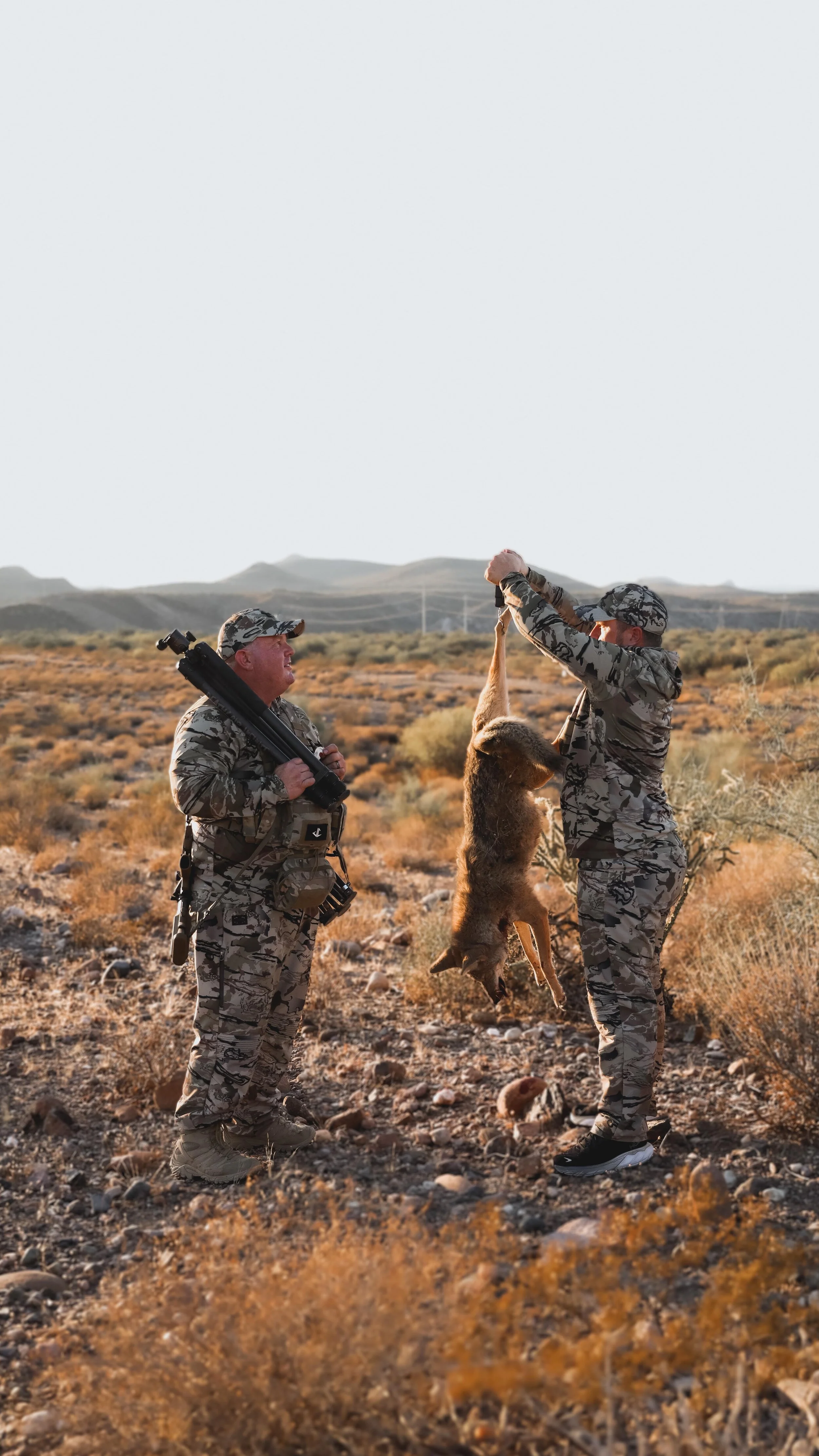 VIDEOS — DC PREDATOR