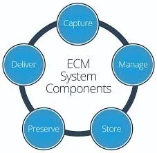 Digital Asset Management (DAM) vs Enterprise Content Management System ...